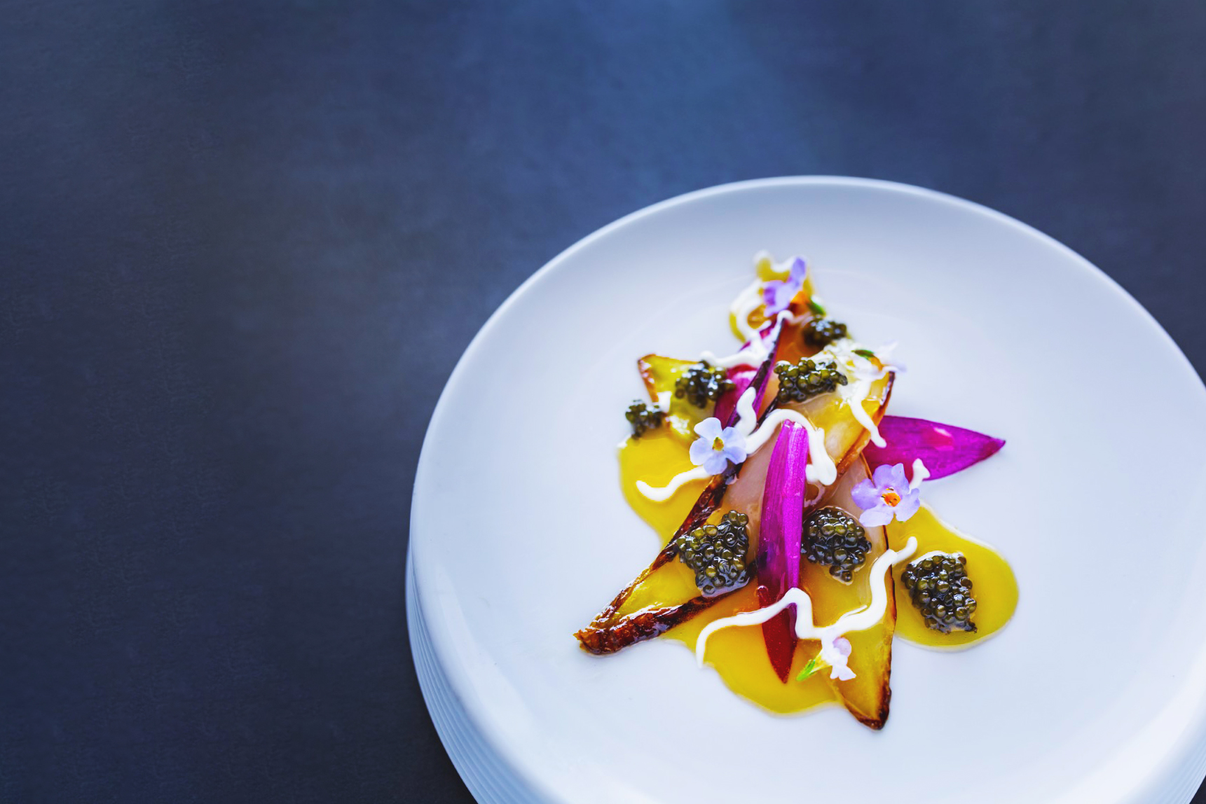 Charred Endive & Violet Endive in Verjus Clementine Jus - Fresh Origins