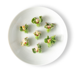 Ice Bud™ - Fresh Origins