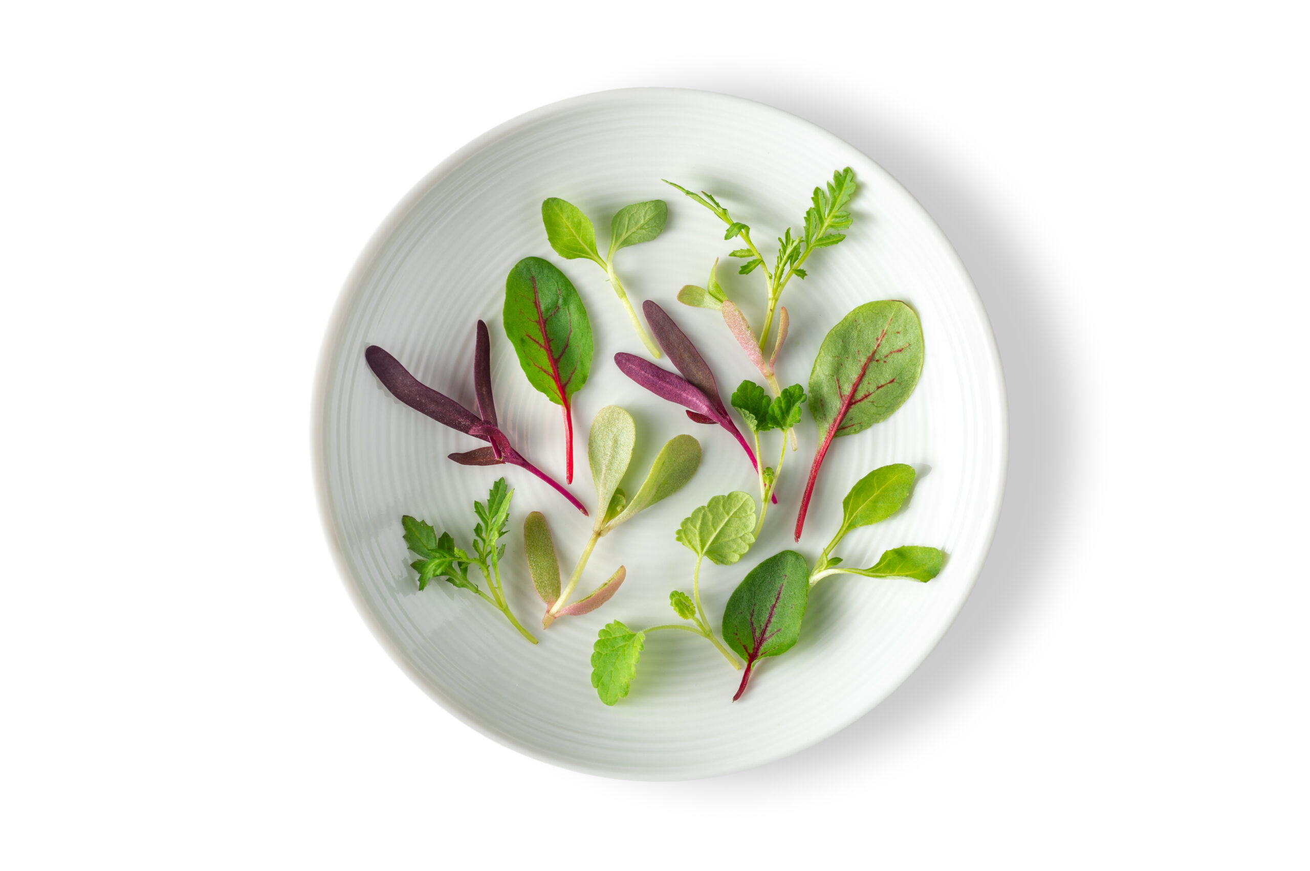 Menu Guides - Sandwich Guide - Fresh Origins