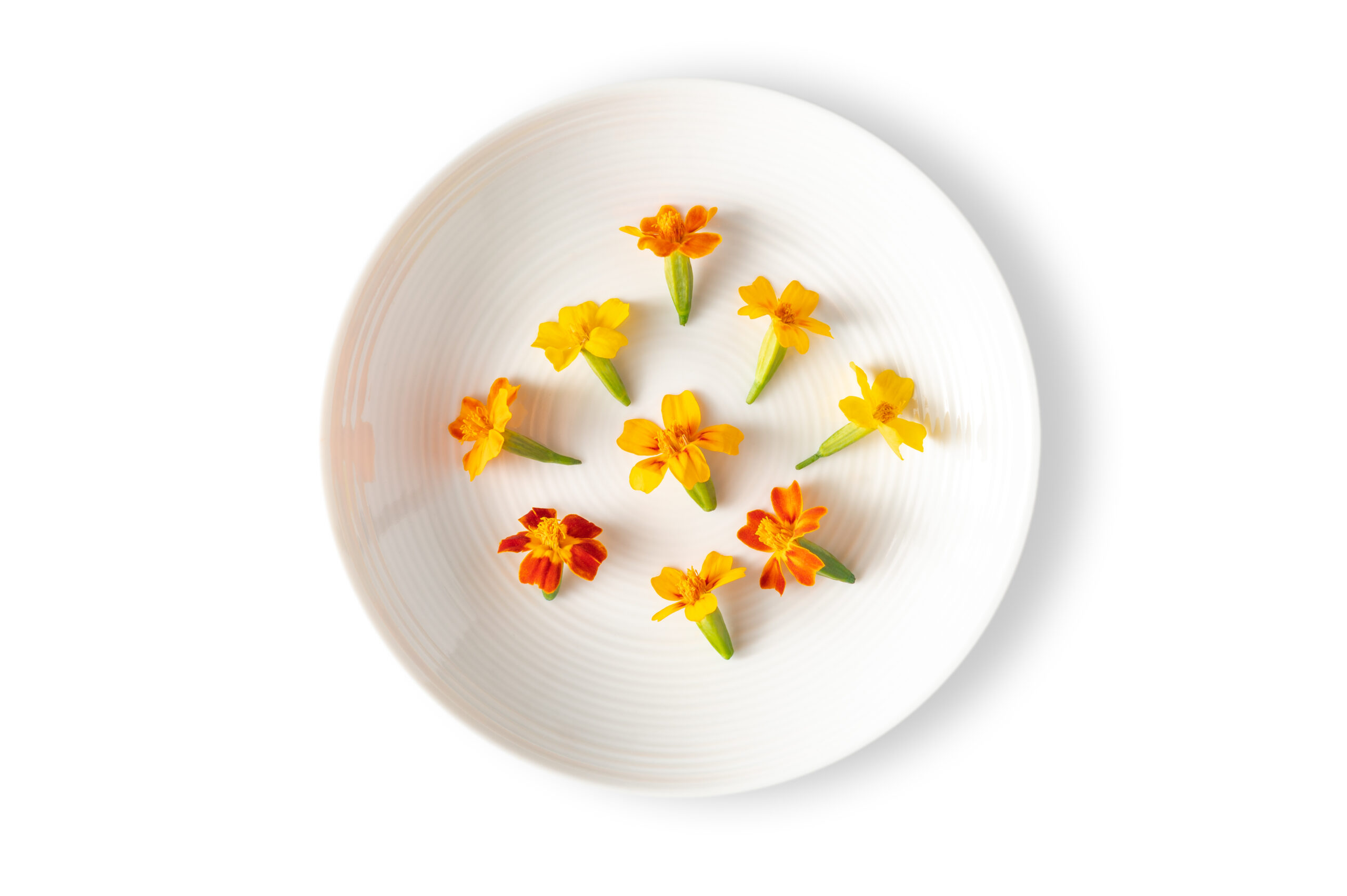 Menu Guides - Winter Citrus Season - Fresh Origins