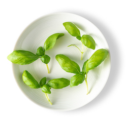 Petite® Basil Italian - Fresh Origins