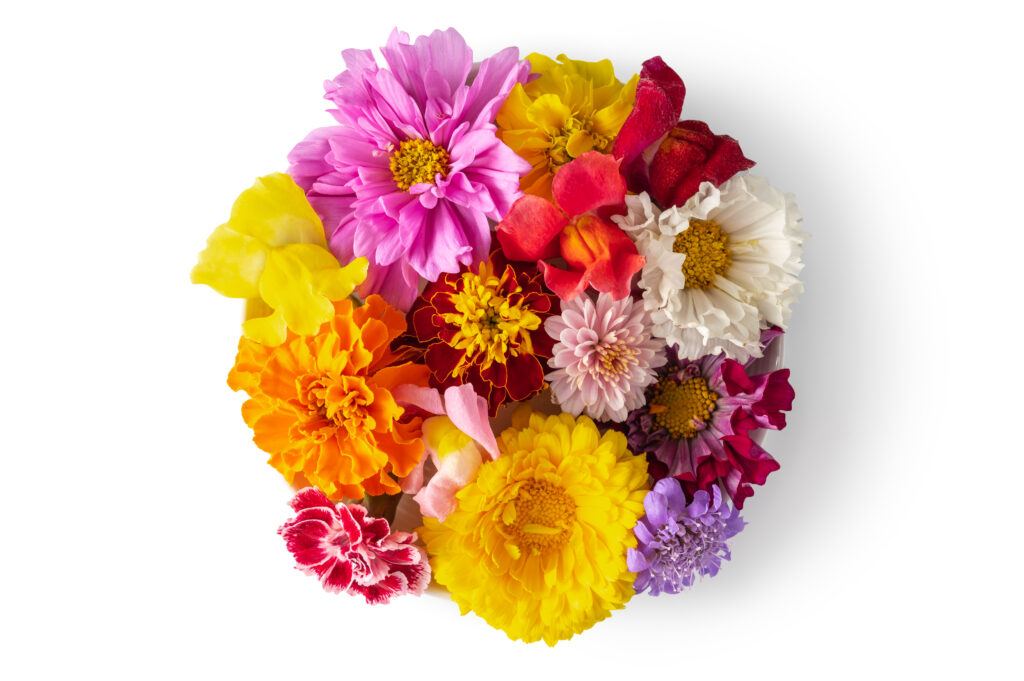 Menu Guides - Flavors of Fall - Fresh Origins