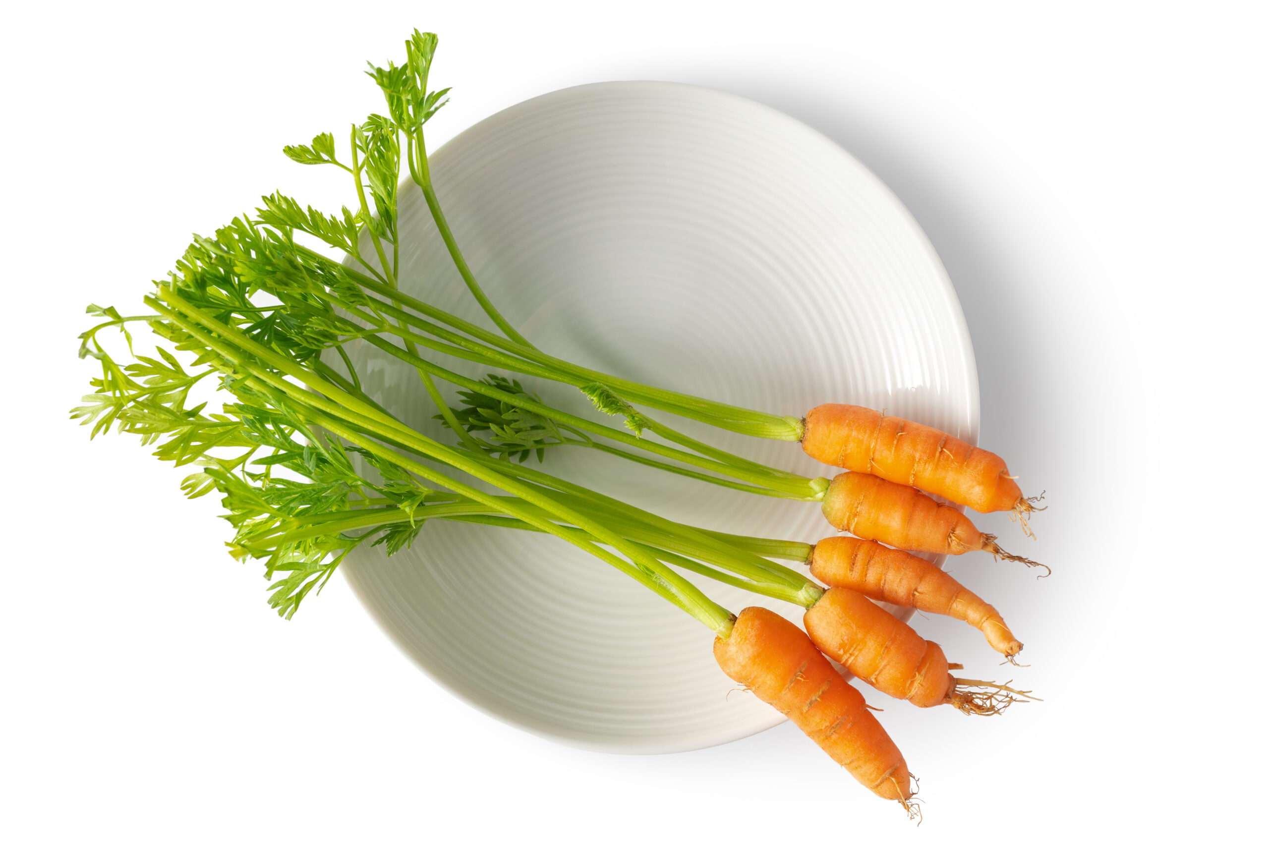 Menu Guides - Tiny Veggies™ Crudité Mix™ Spotlight - Fresh Origins