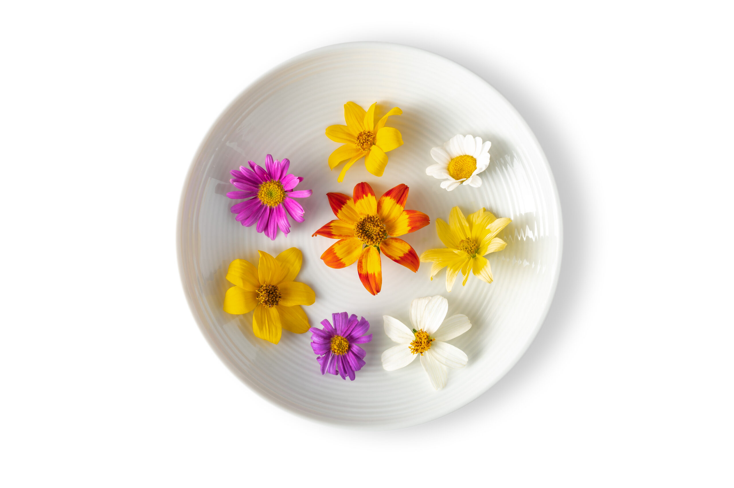 Dapper Daisy Mix™ - Fresh Origins