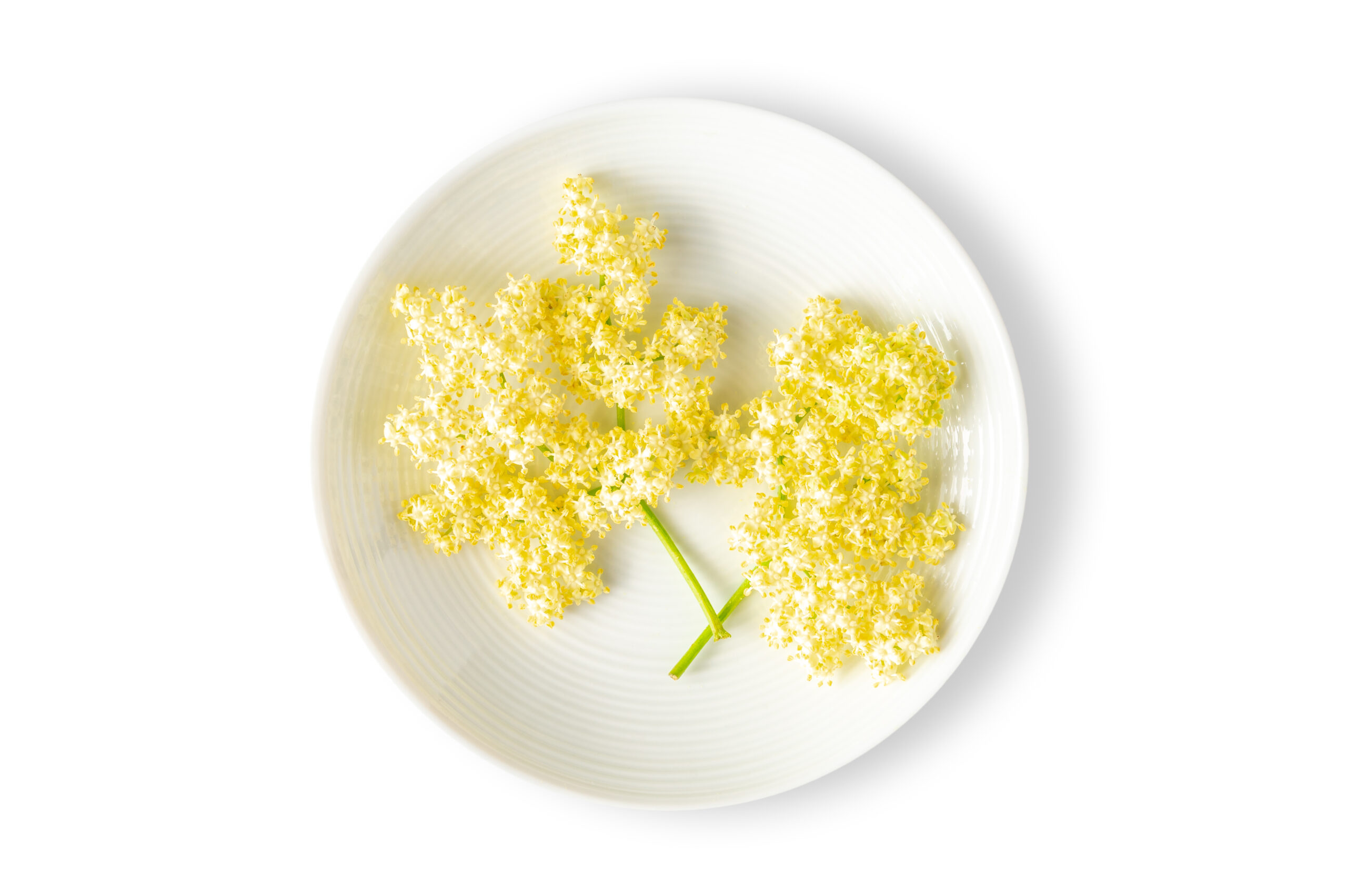 Elder Flower - Fresh Origins