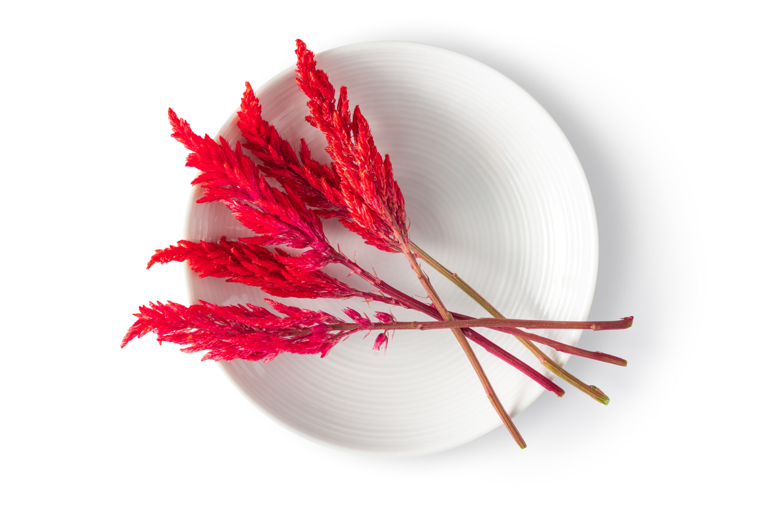 Firestix™ - Fresh Origins