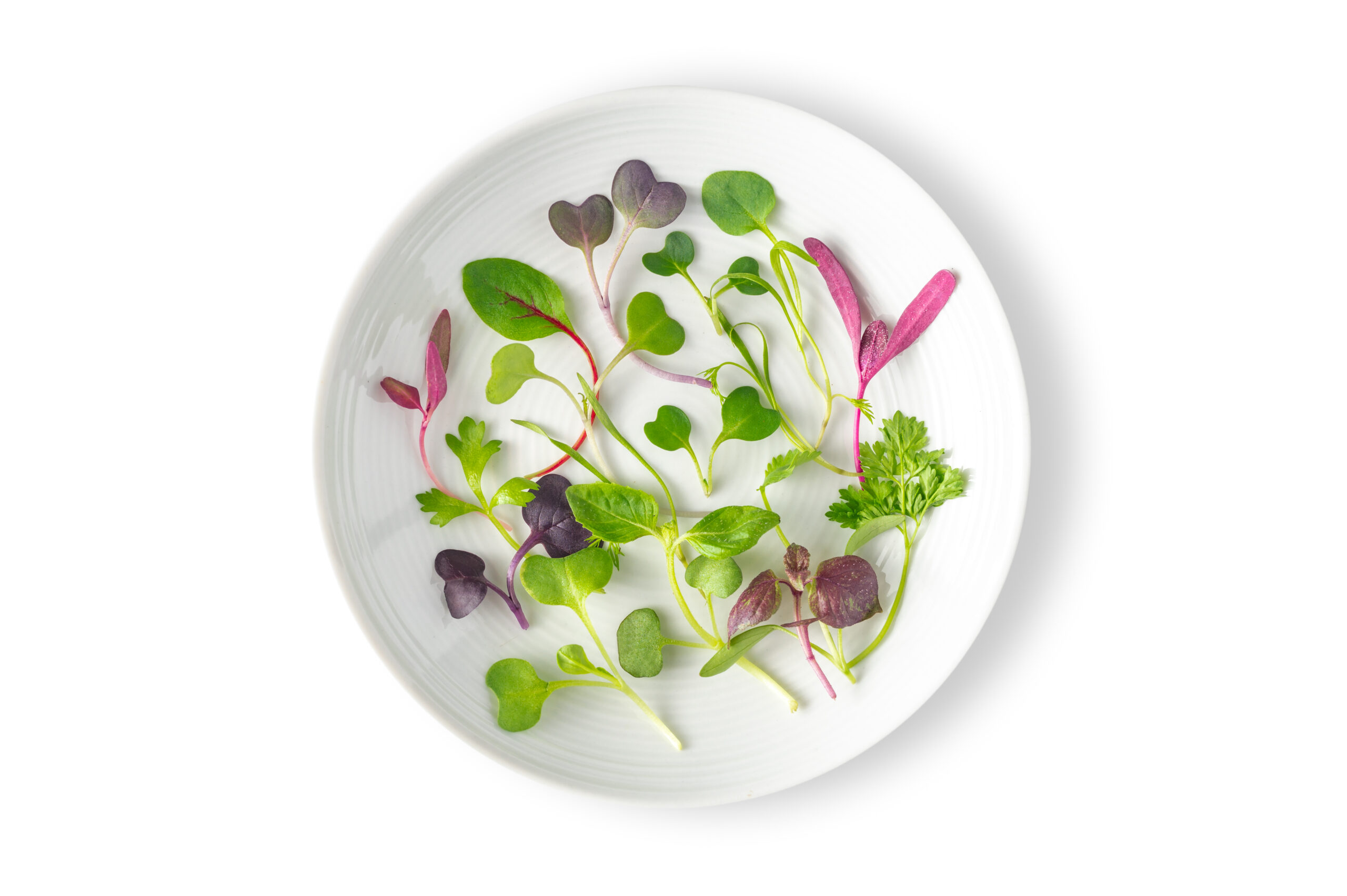 Micro Intensity Mix™ - Fresh Origins