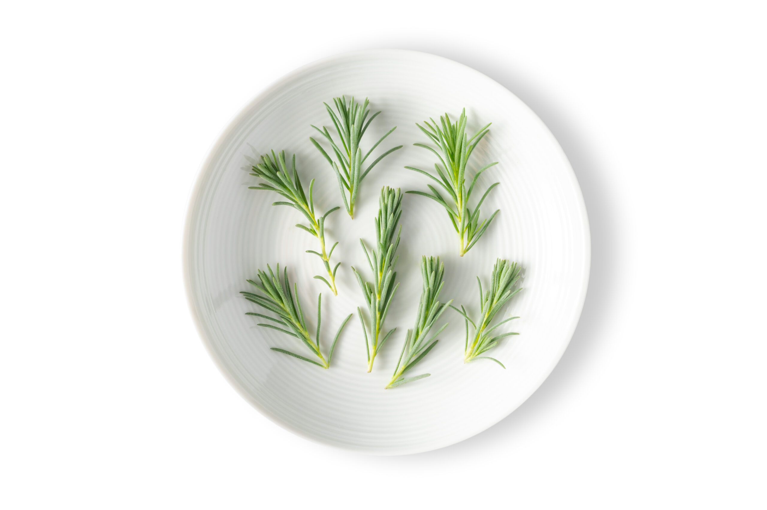 Micro Sea Grass™ - Fresh Origins