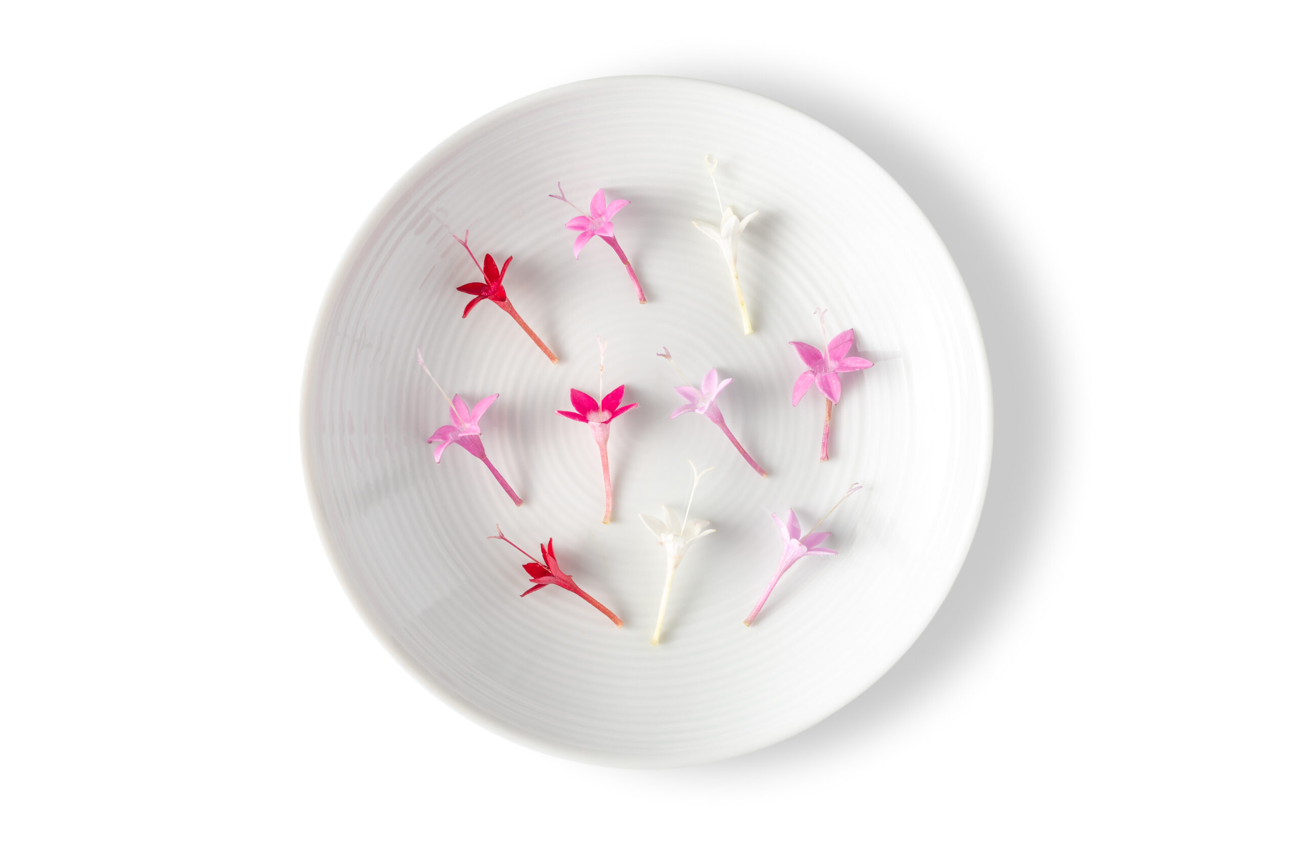 Micro Star Flower™ - Fresh Origins