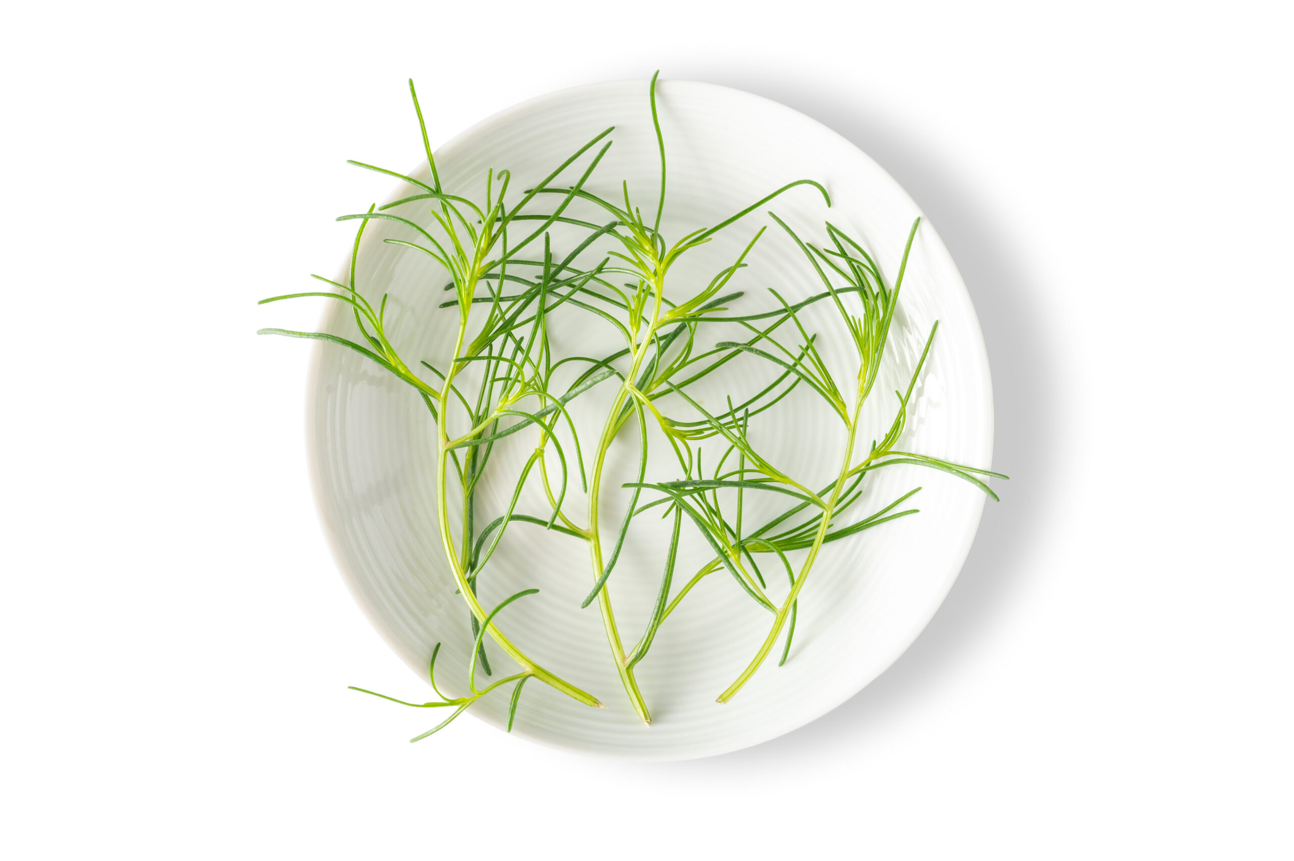 Petite® Sea Grass™ - Fresh Origins