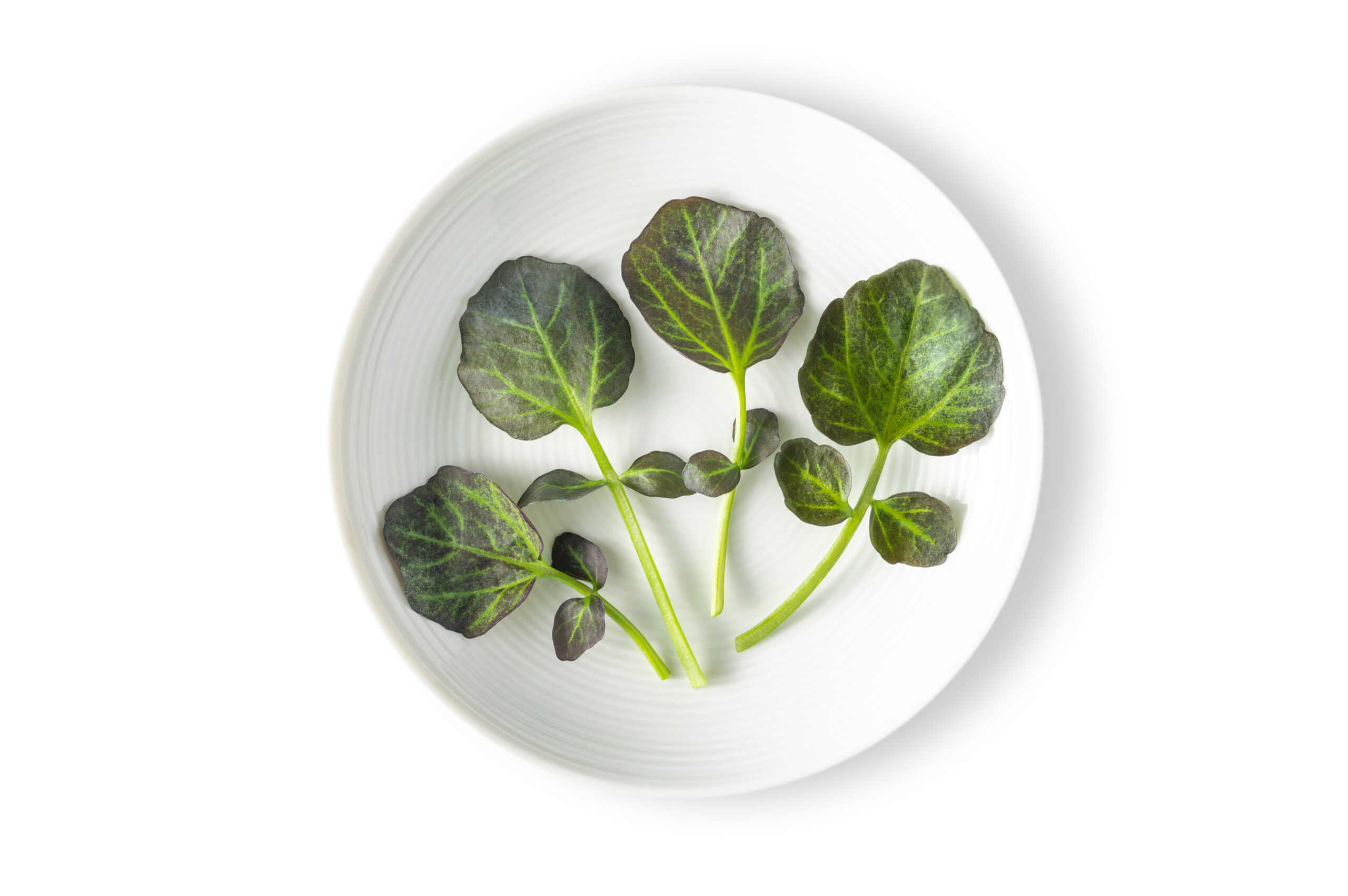 Petite® Watercress Red™ - Fresh Origins