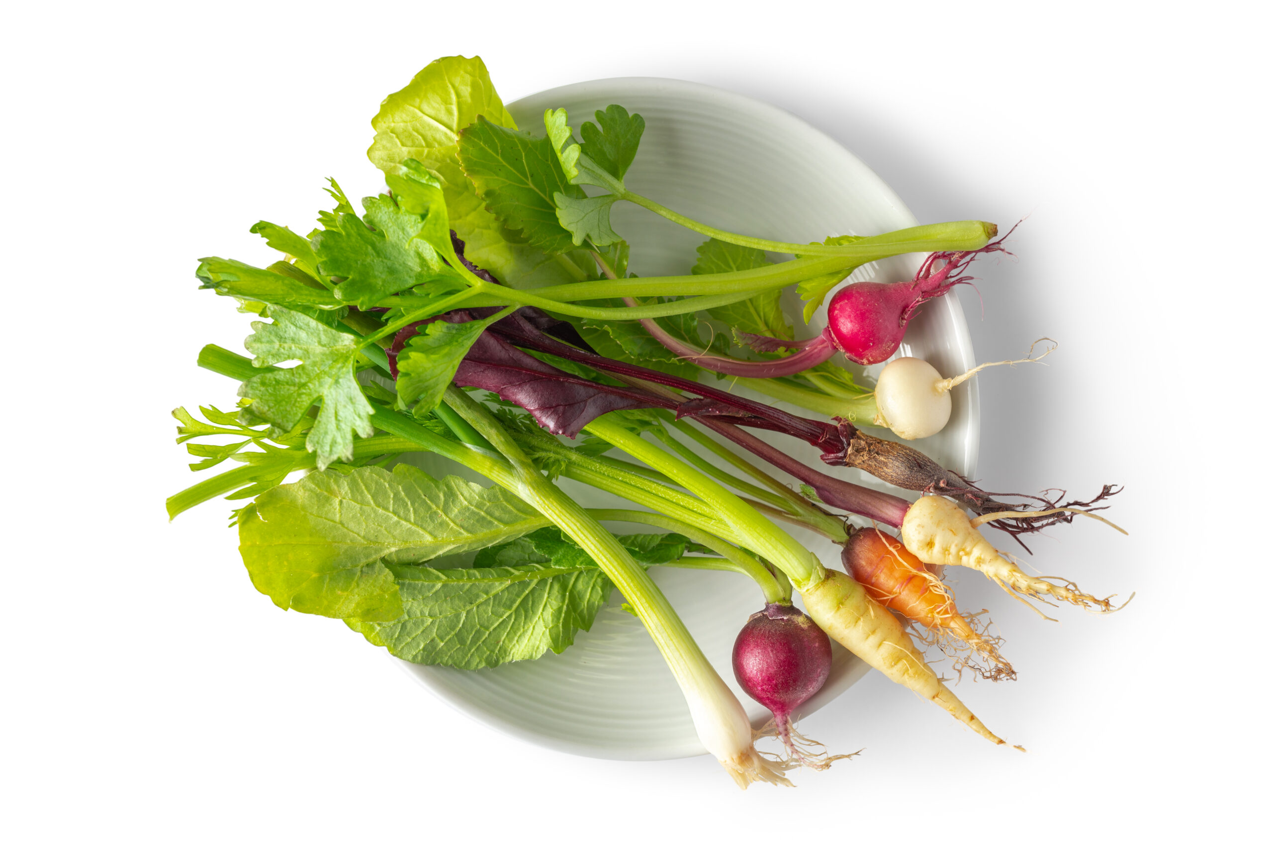 Tiny Veggies™ Crudité Mix™ - Fresh Origins