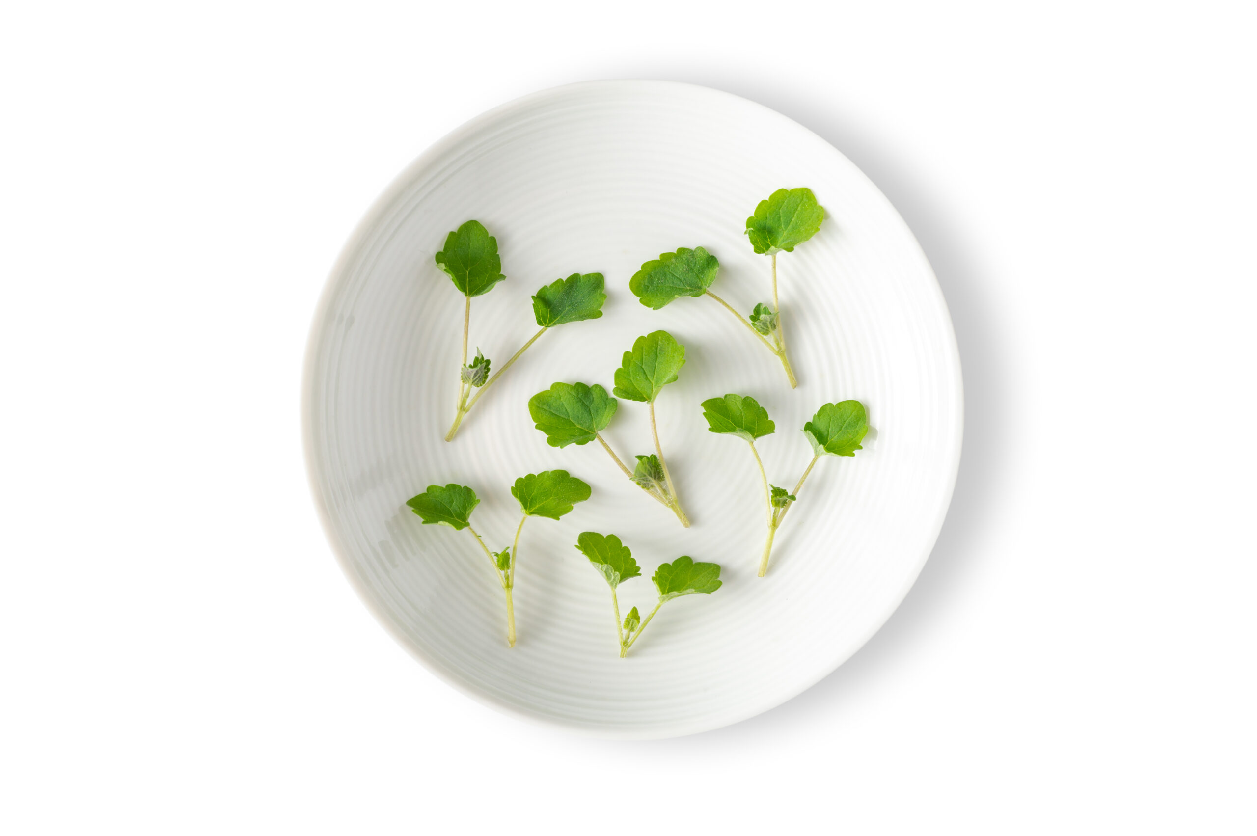 Micro Mint Licorice™ - Fresh Origins