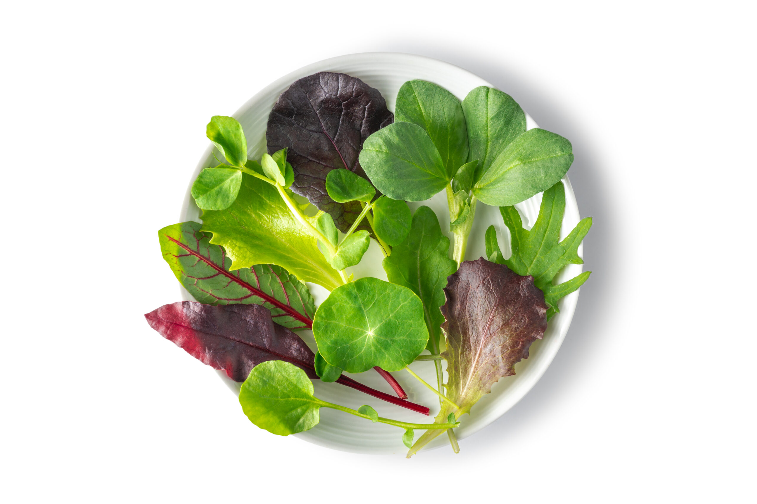 Petite® Primavera Mix™ - Fresh Origins