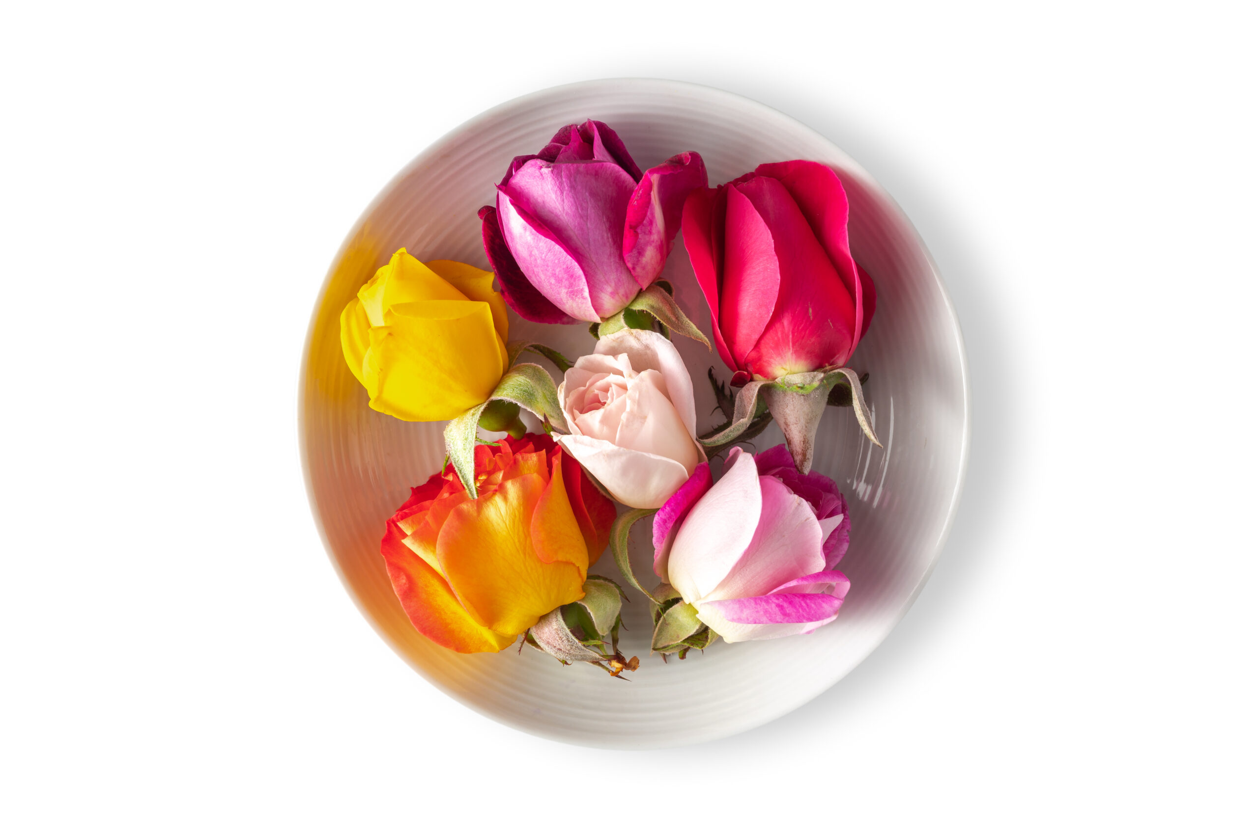 Roses - Fresh Origins