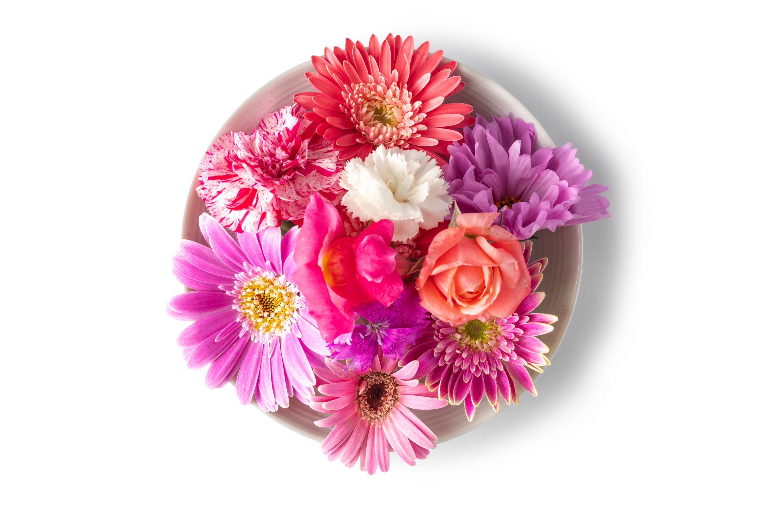 Spring Showers Mix™ - Fresh Origins