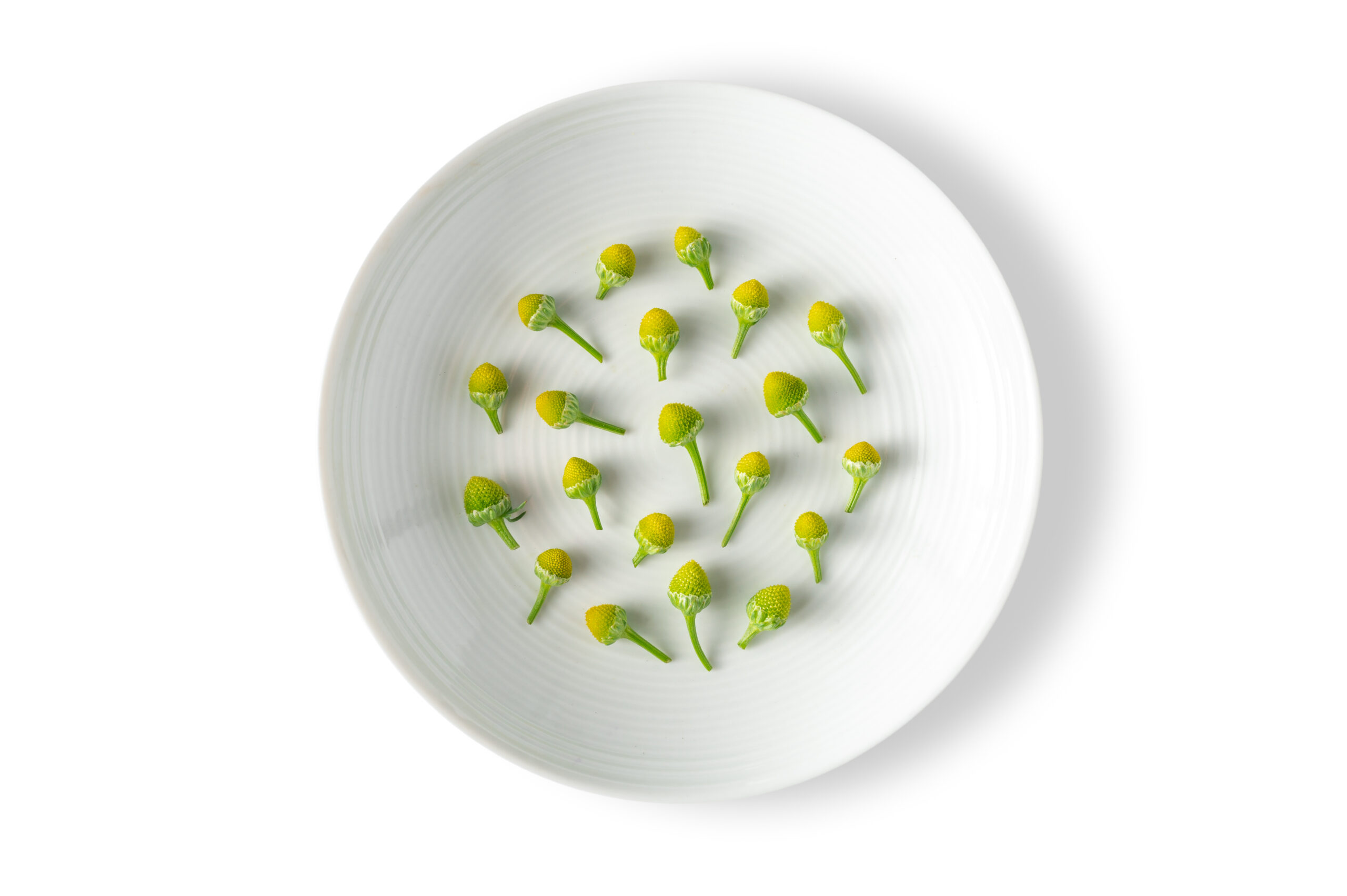 Pineapple Bud™ - Fresh Origins