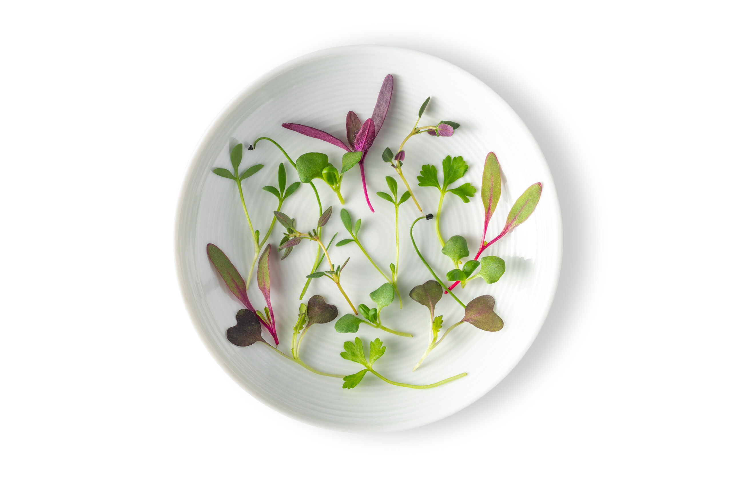 Micro Cajun Mix™ - Fresh Origins