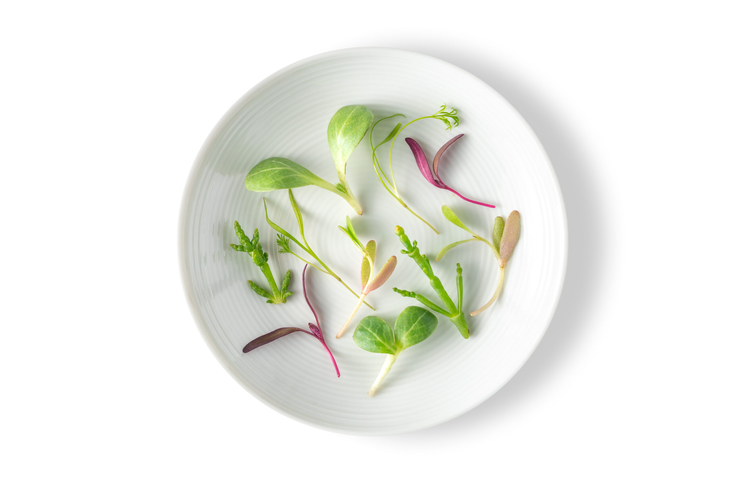 Micro Ocean Mix™ - Fresh Origins