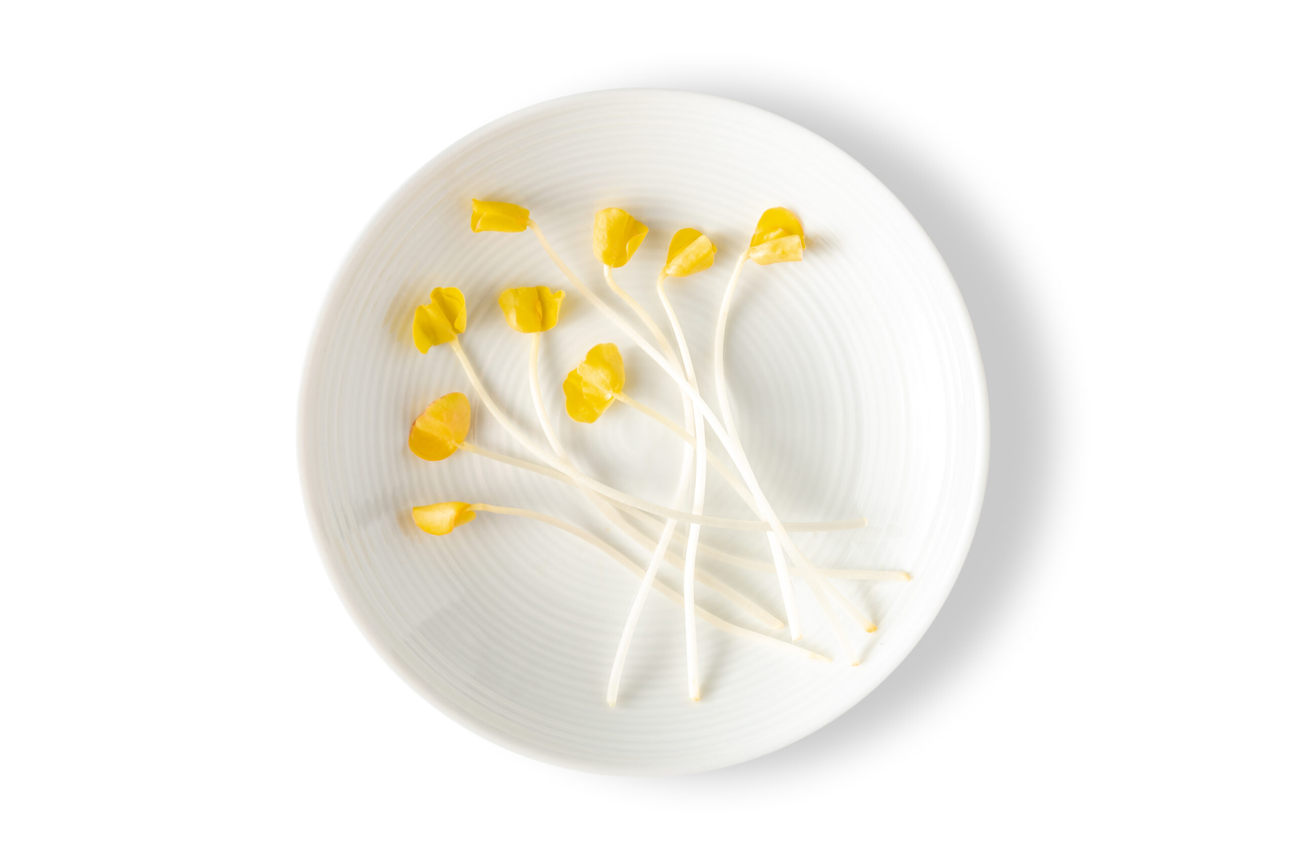 Gold Buckwheat Shoots™ - Fresh Origins