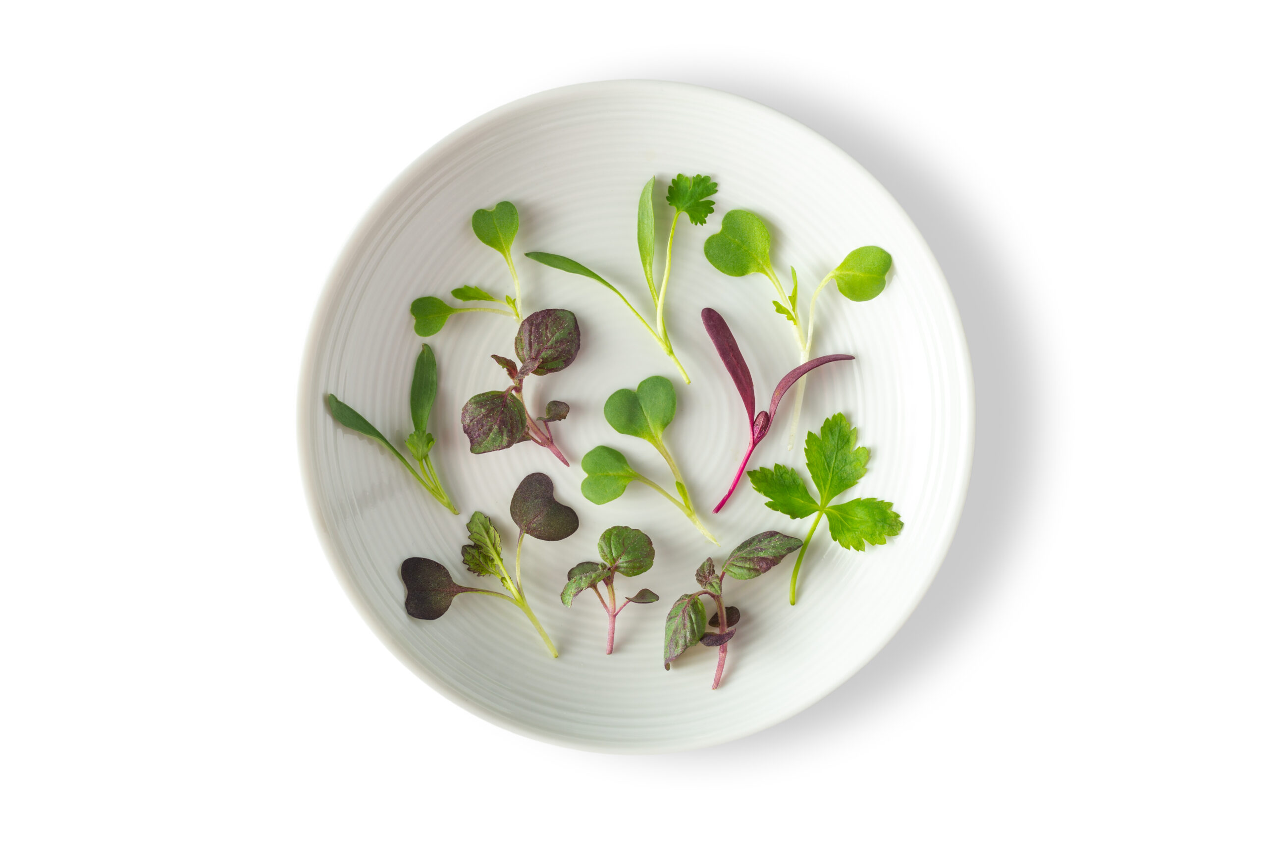 Menu Guides - Asian Cuisine Guide - Fresh Origins