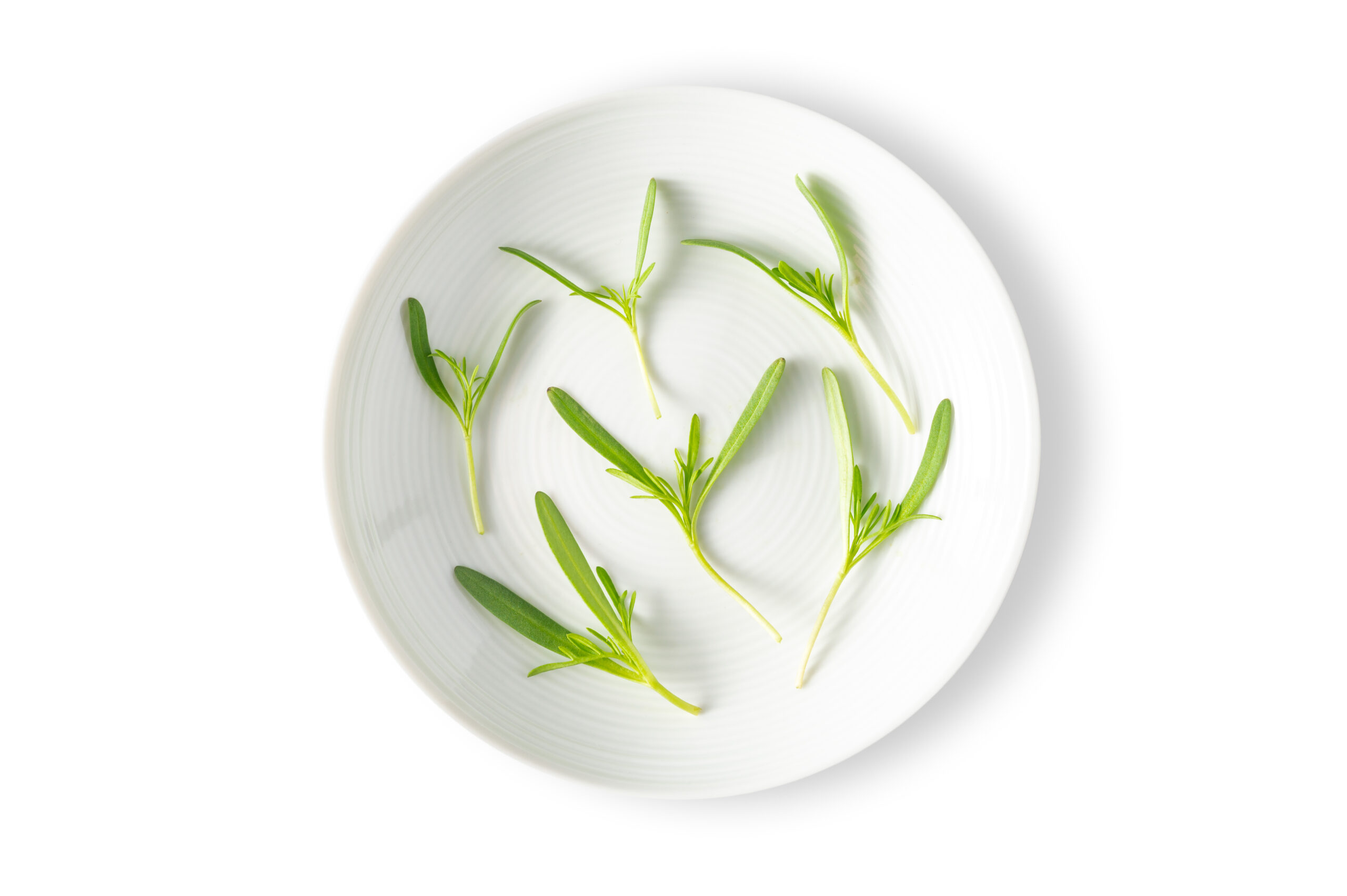 Micro Carrot Fern Leaf™ - Fresh Origins