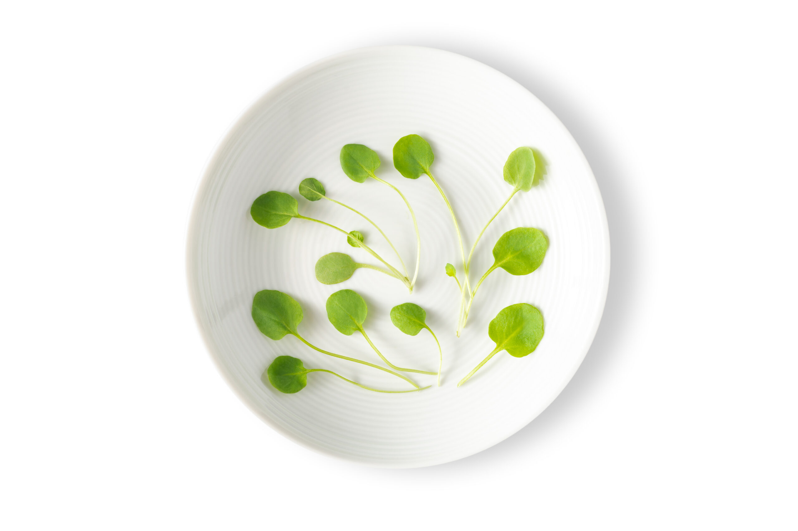 Micro Cress Upland - Fresh Origins