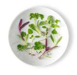 Microgreens Mixes Archives - Fresh Origins