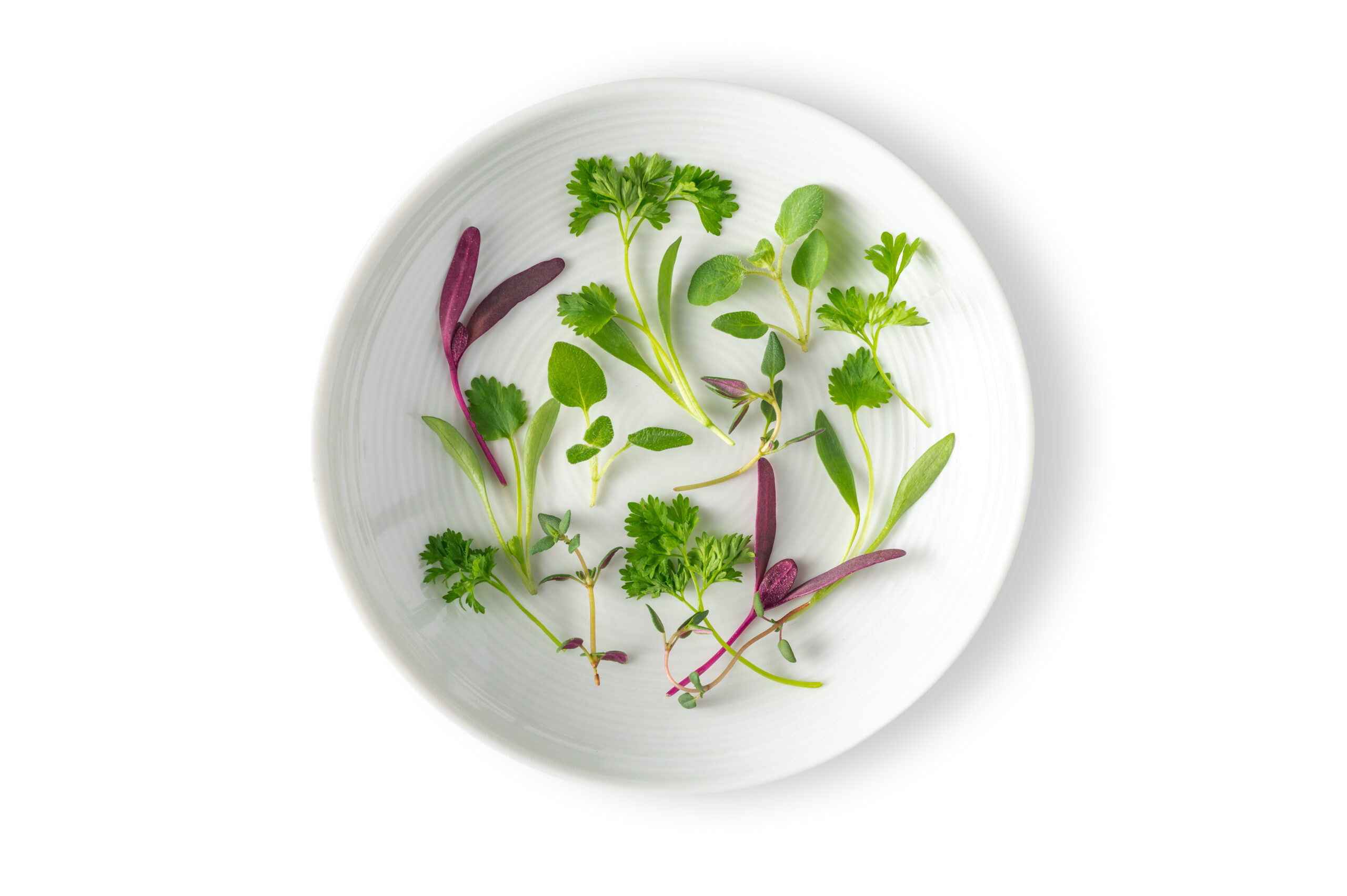 Micro Herb Mix™ - Fresh Origins