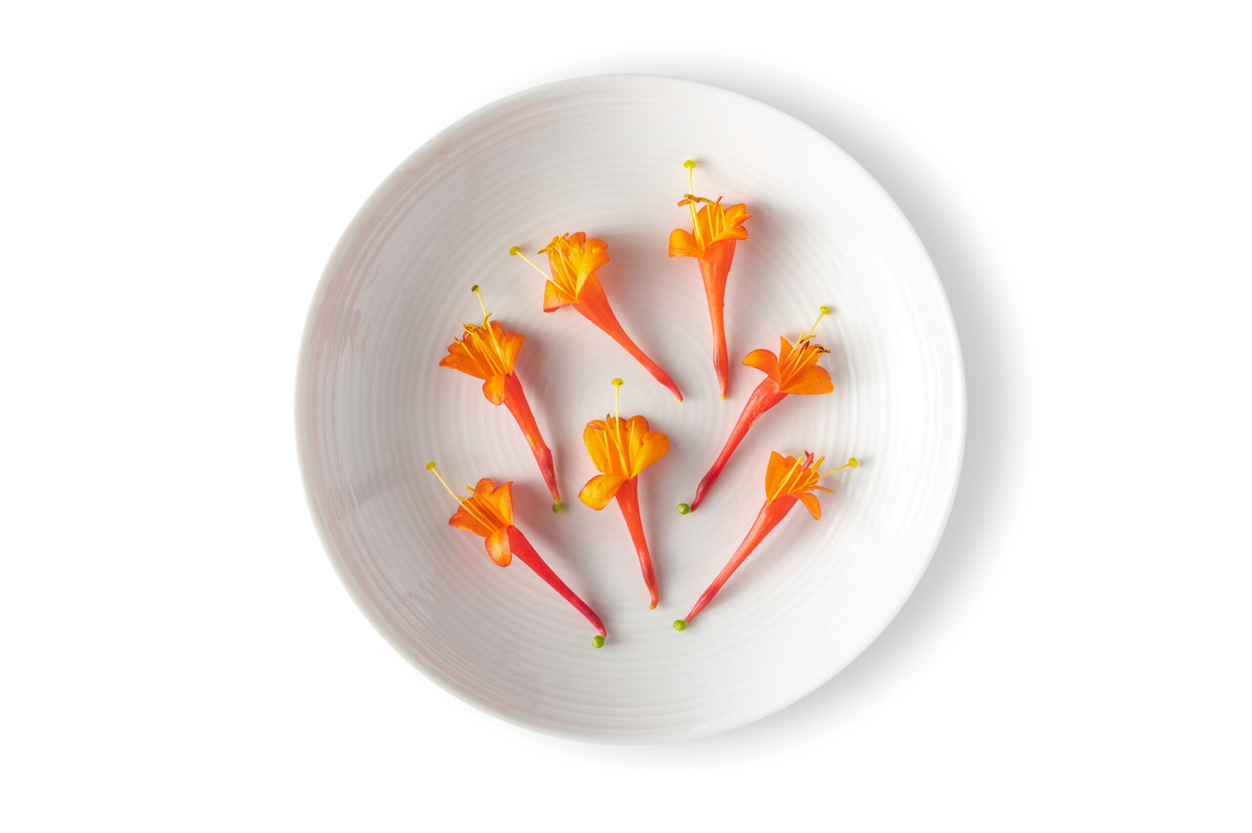 Micro Honeysuckle Flower™ - Fresh Origins