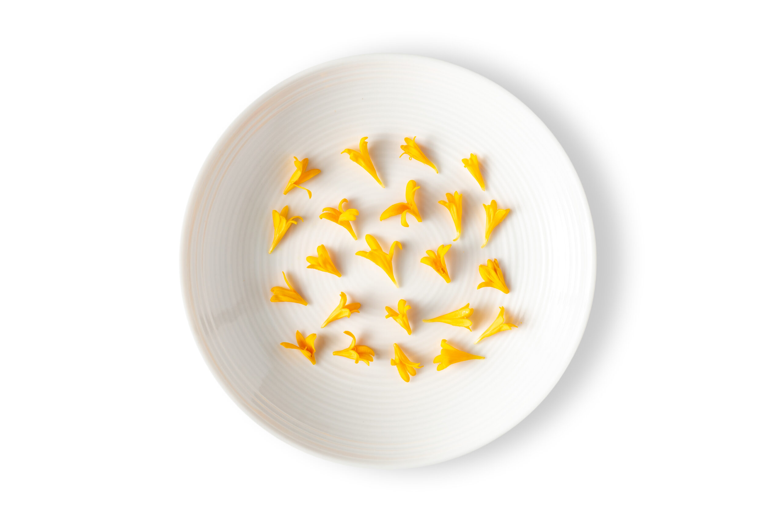 Micro Marigold Floret™ - Fresh Origins