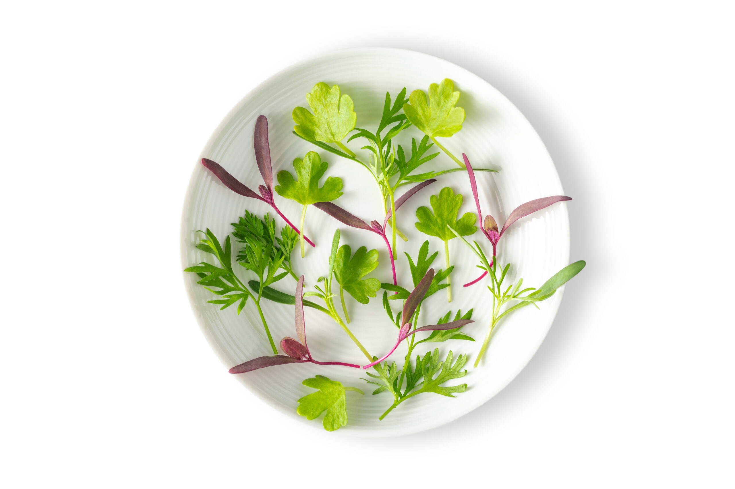 Micro Mirepoix Mix™ - Fresh Origins