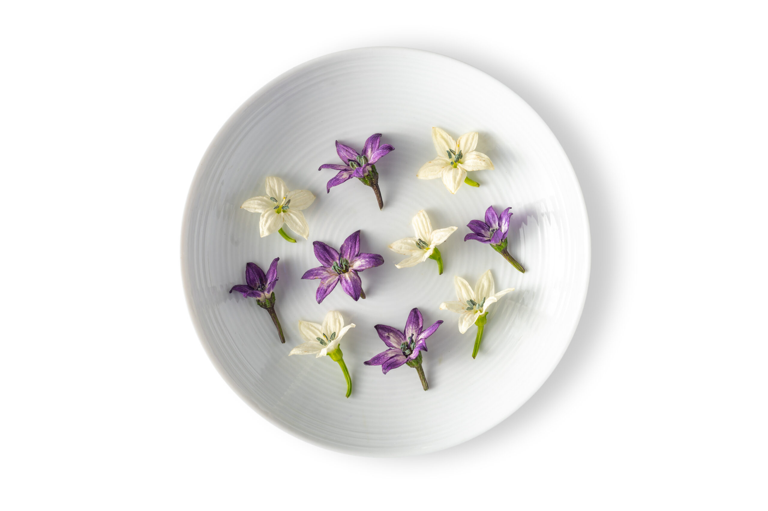 Micro Pepper Flower Mix™ - Fresh Origins