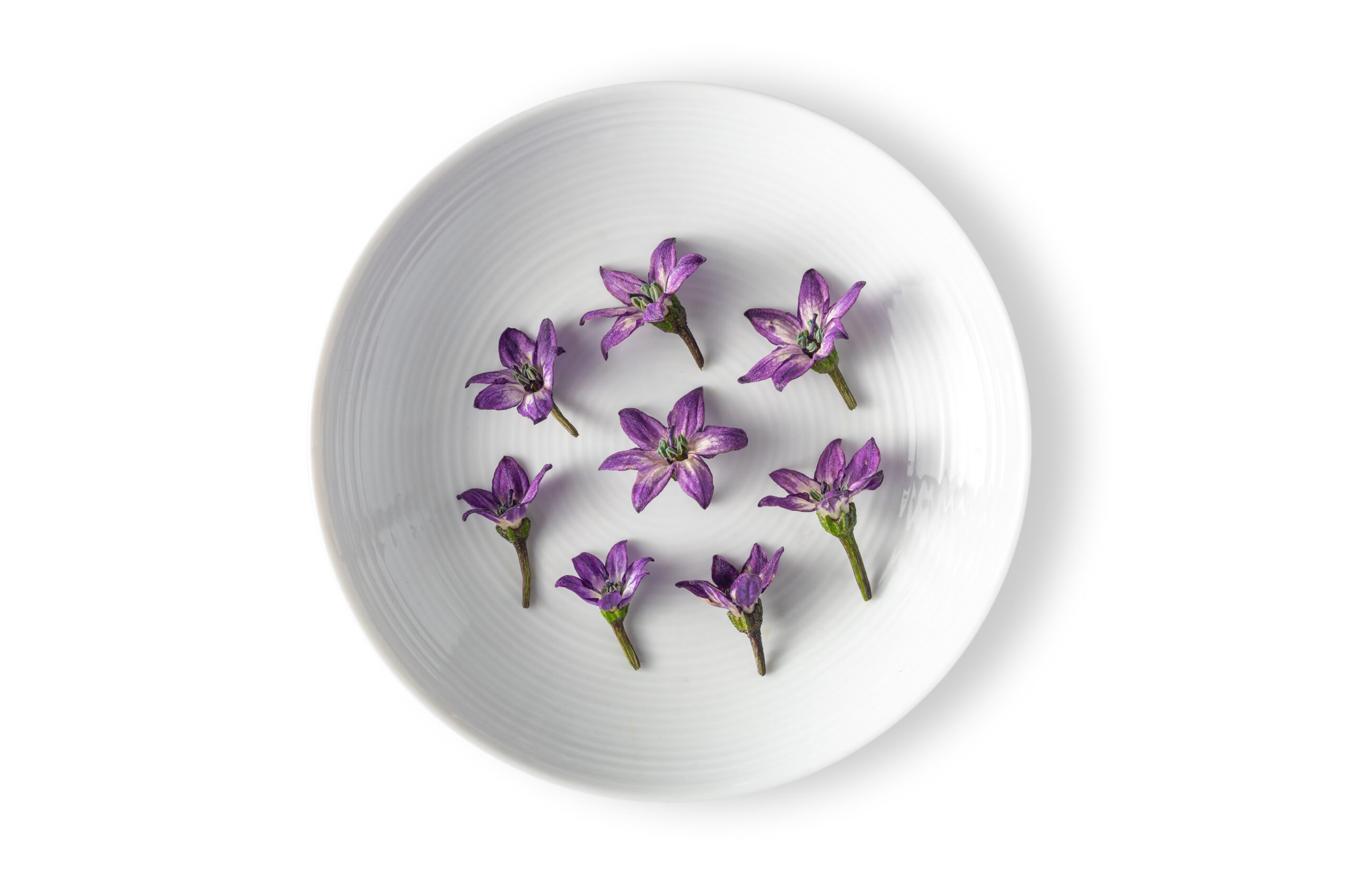 Micro Pepper Flower Purple™ - Fresh Origins