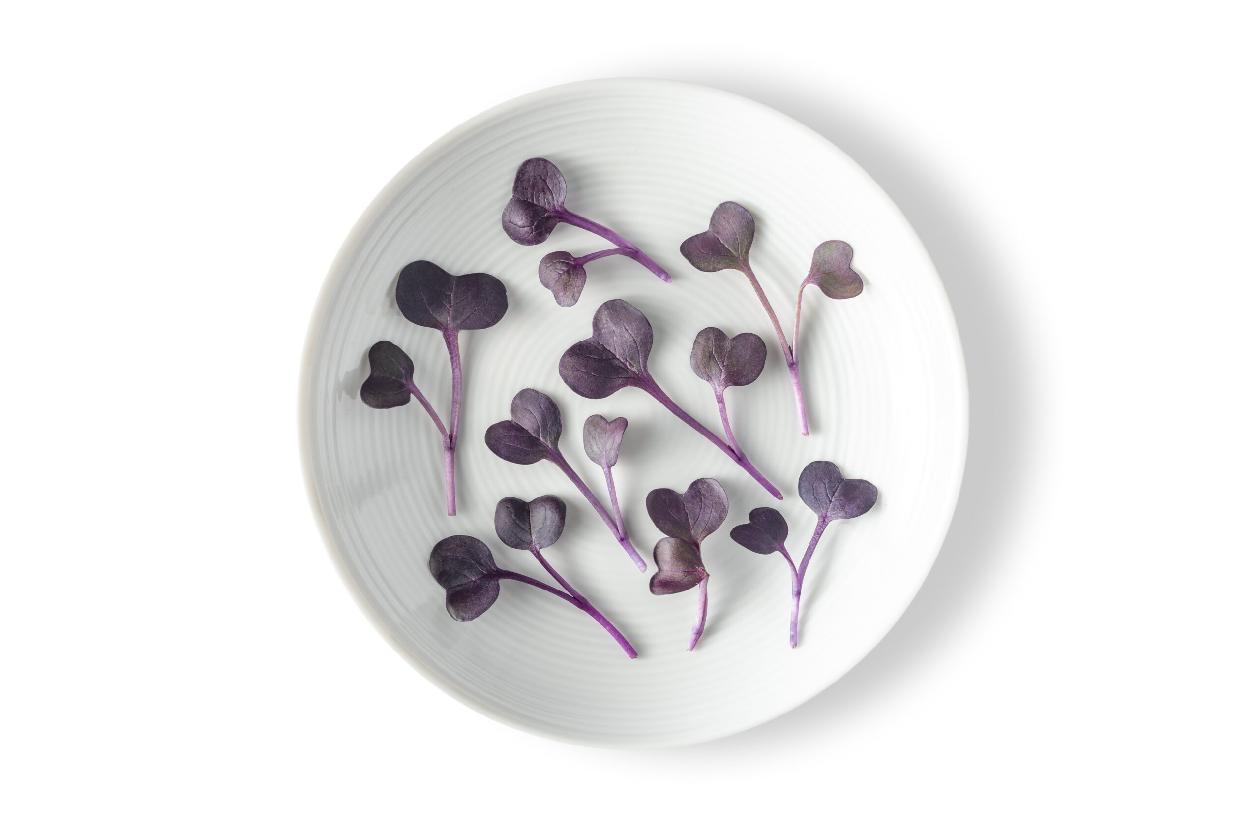 Micro Radish Ruby™ - Fresh Origins