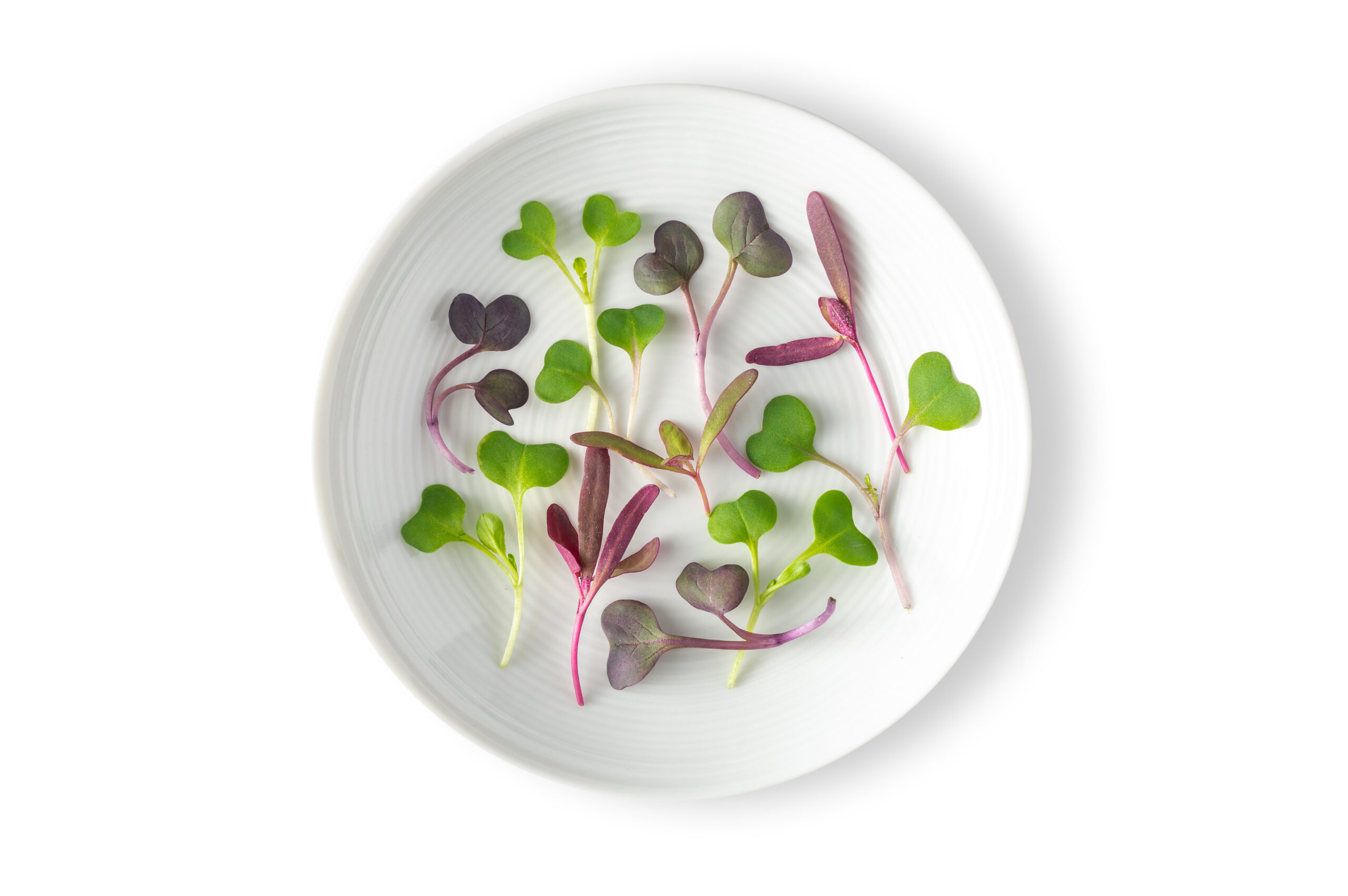 Micro Spectrum Mix™ - Fresh Origins