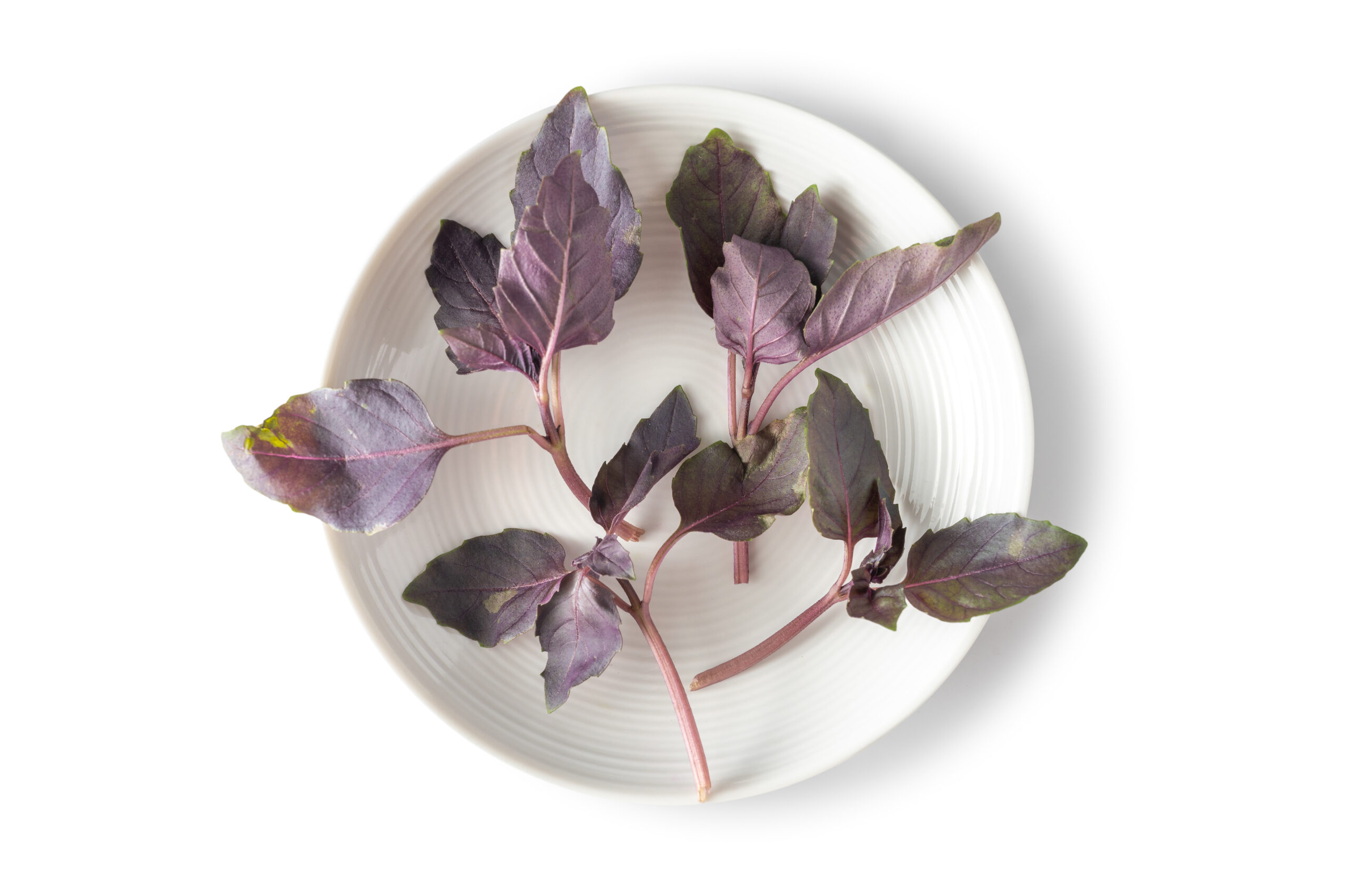 Petite® Basil Opal - Fresh Origins