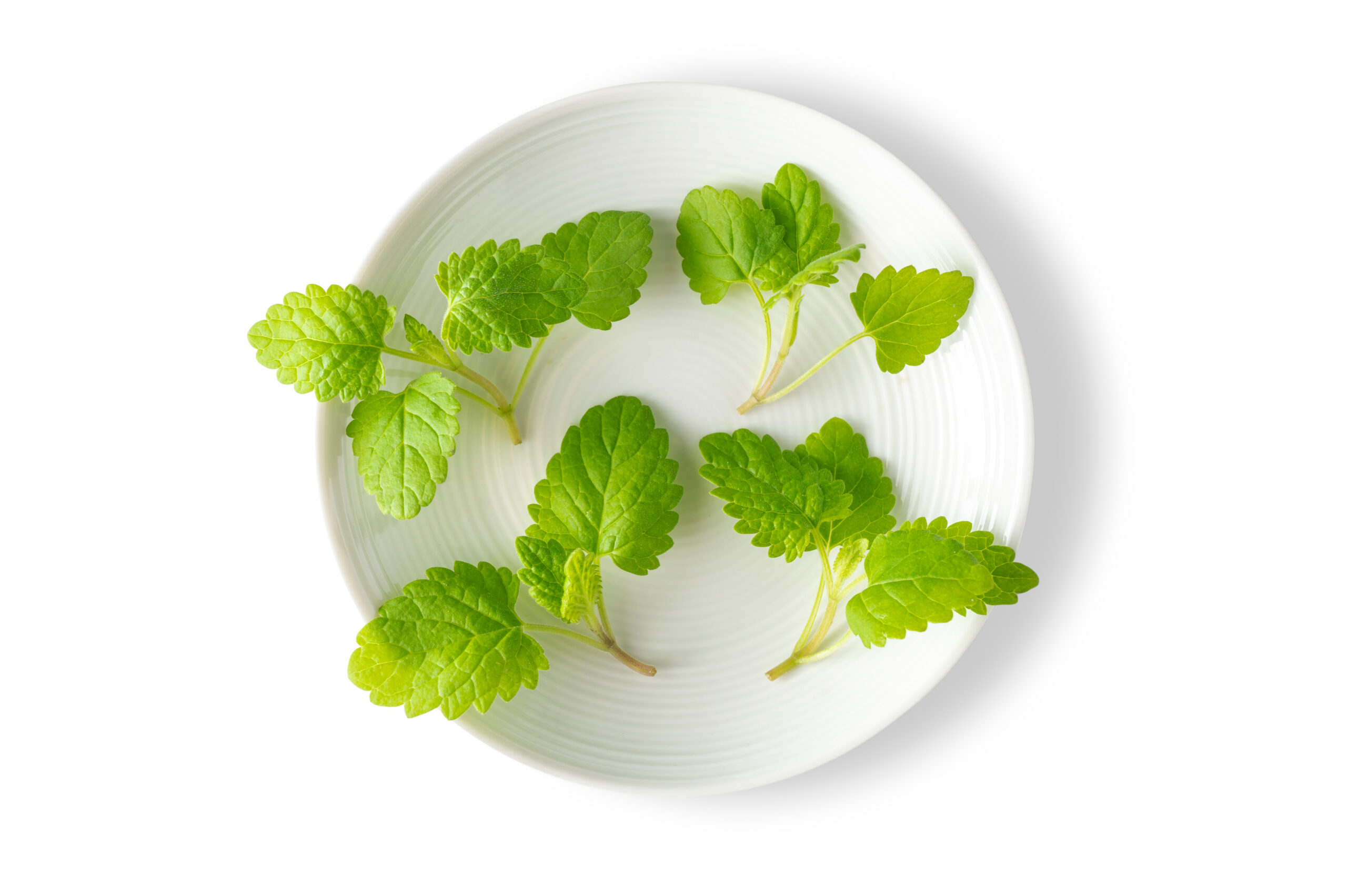 Petite® Mint Lemon - Fresh Origins