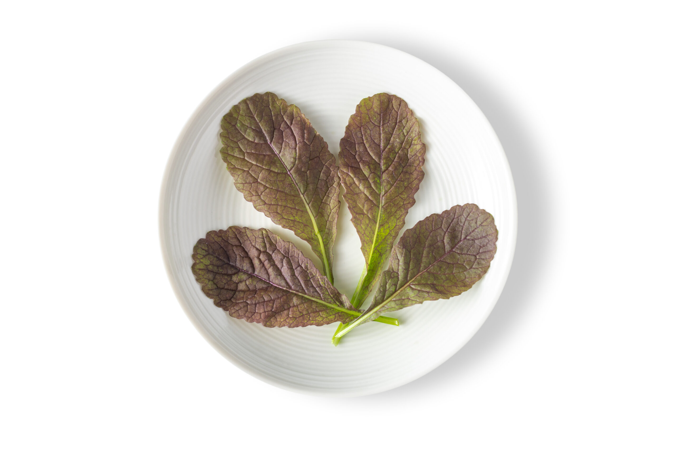 Petite® Mustard Red - Fresh Origins