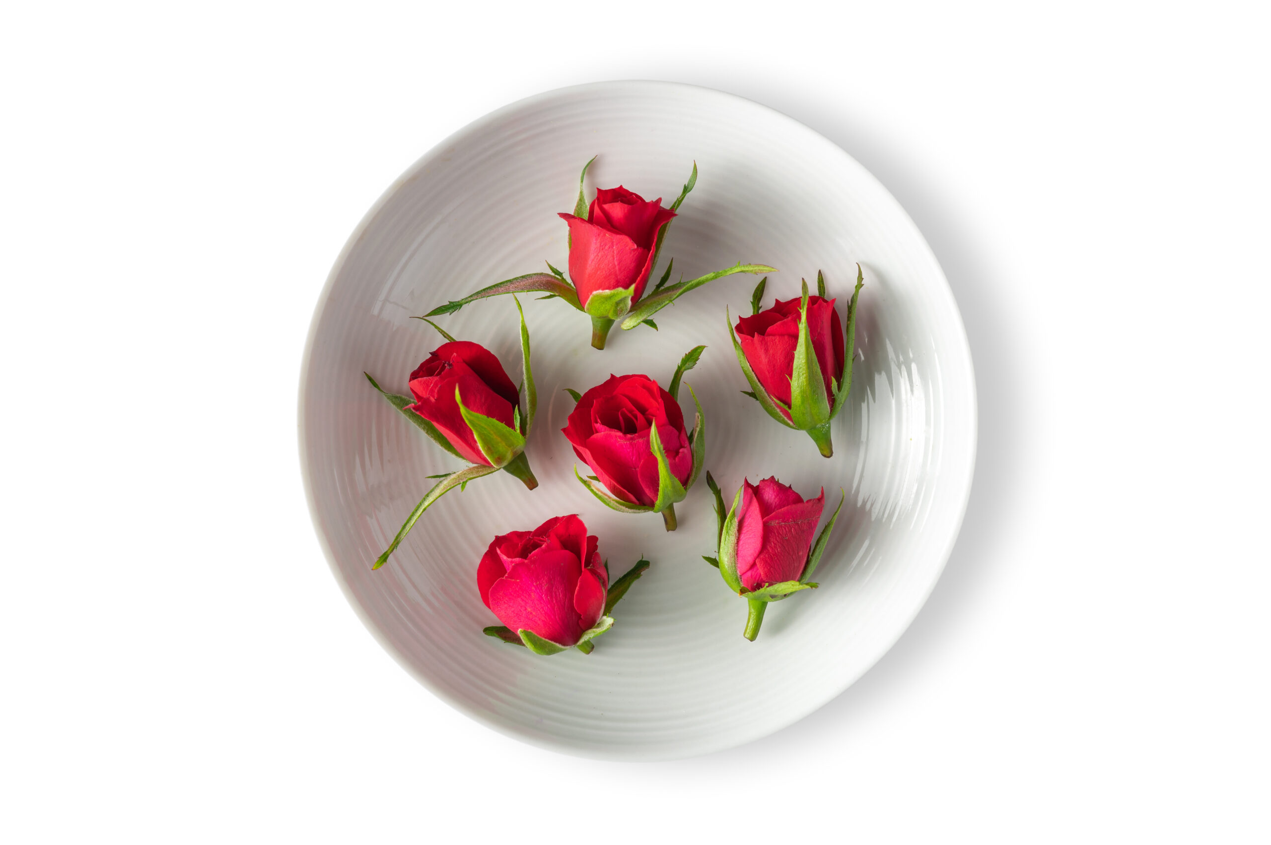 Rose Little Red Corvette™ - Fresh Origins