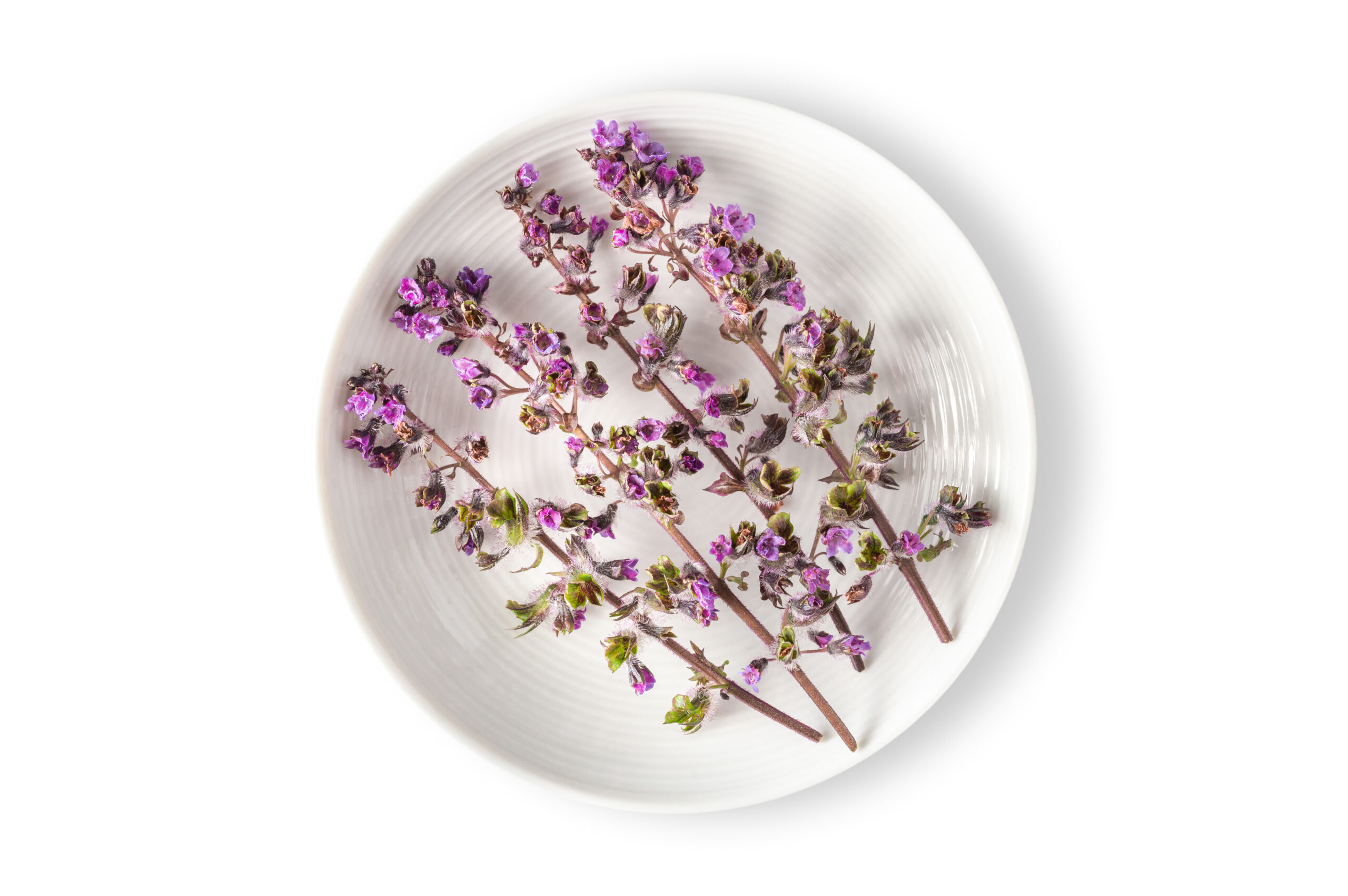 Shiso Flower Purple - Fresh Origins