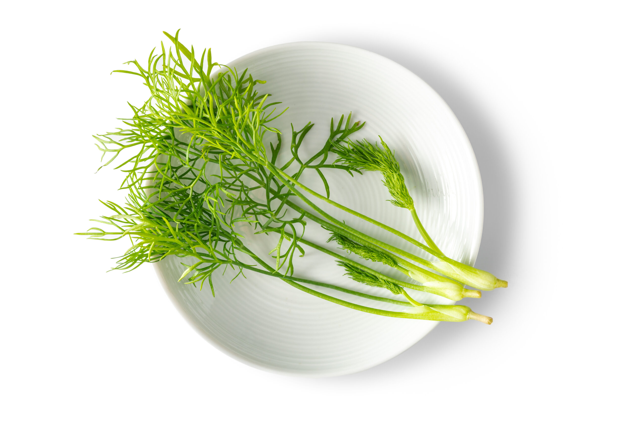 Tiny Veggies™ Fennel Root - Fresh Origins