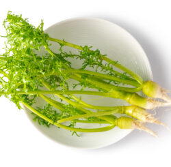 Tiny Veggies™ Archives - Fresh Origins