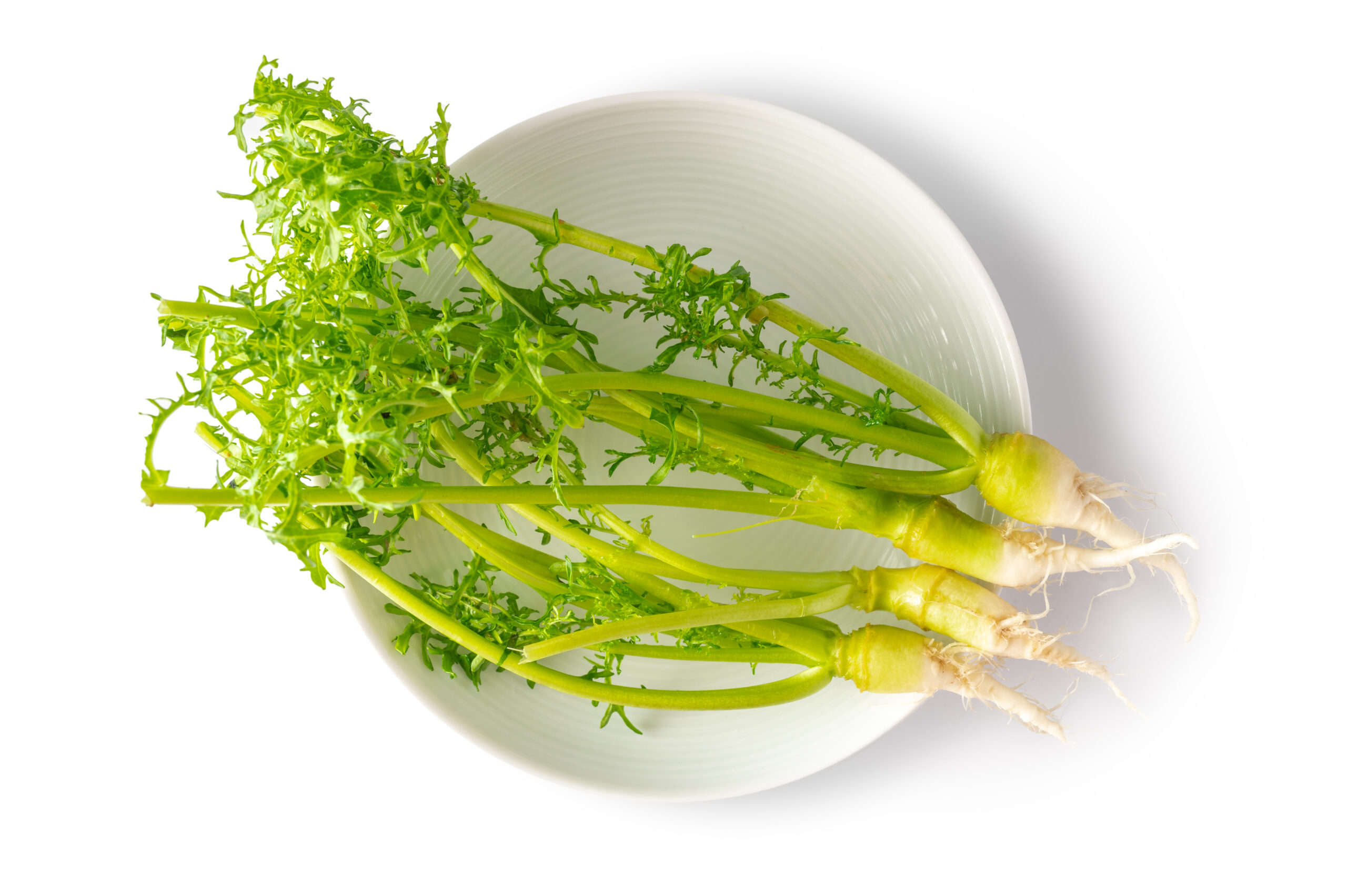 Tiny Veggies™ Mustard Root™ - Fresh Origins