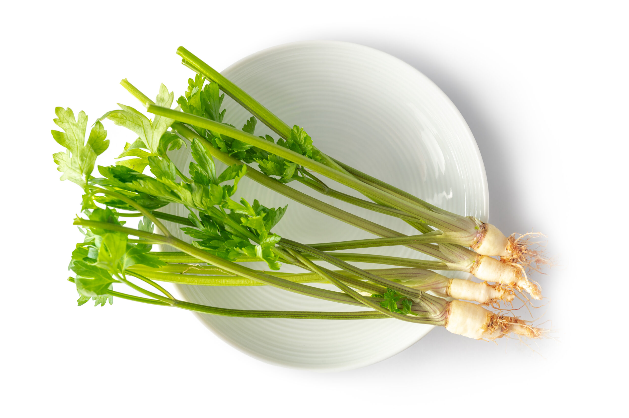 Tiny Veggies™ Parsley Root™ - Fresh Origins