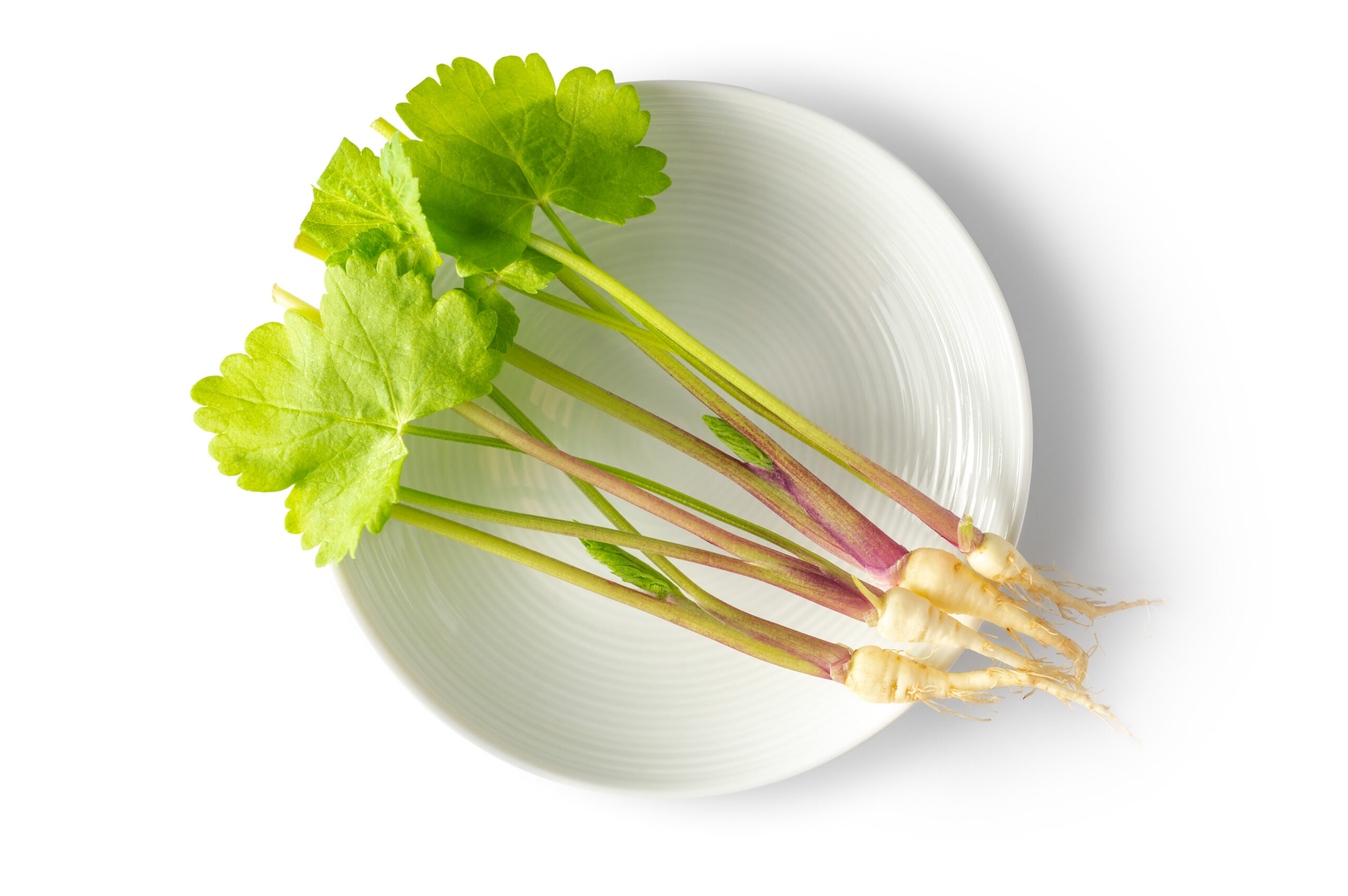 Menu Guides - Tiny Veggies™ Crudité Mix™ Spotlight - Fresh Origins