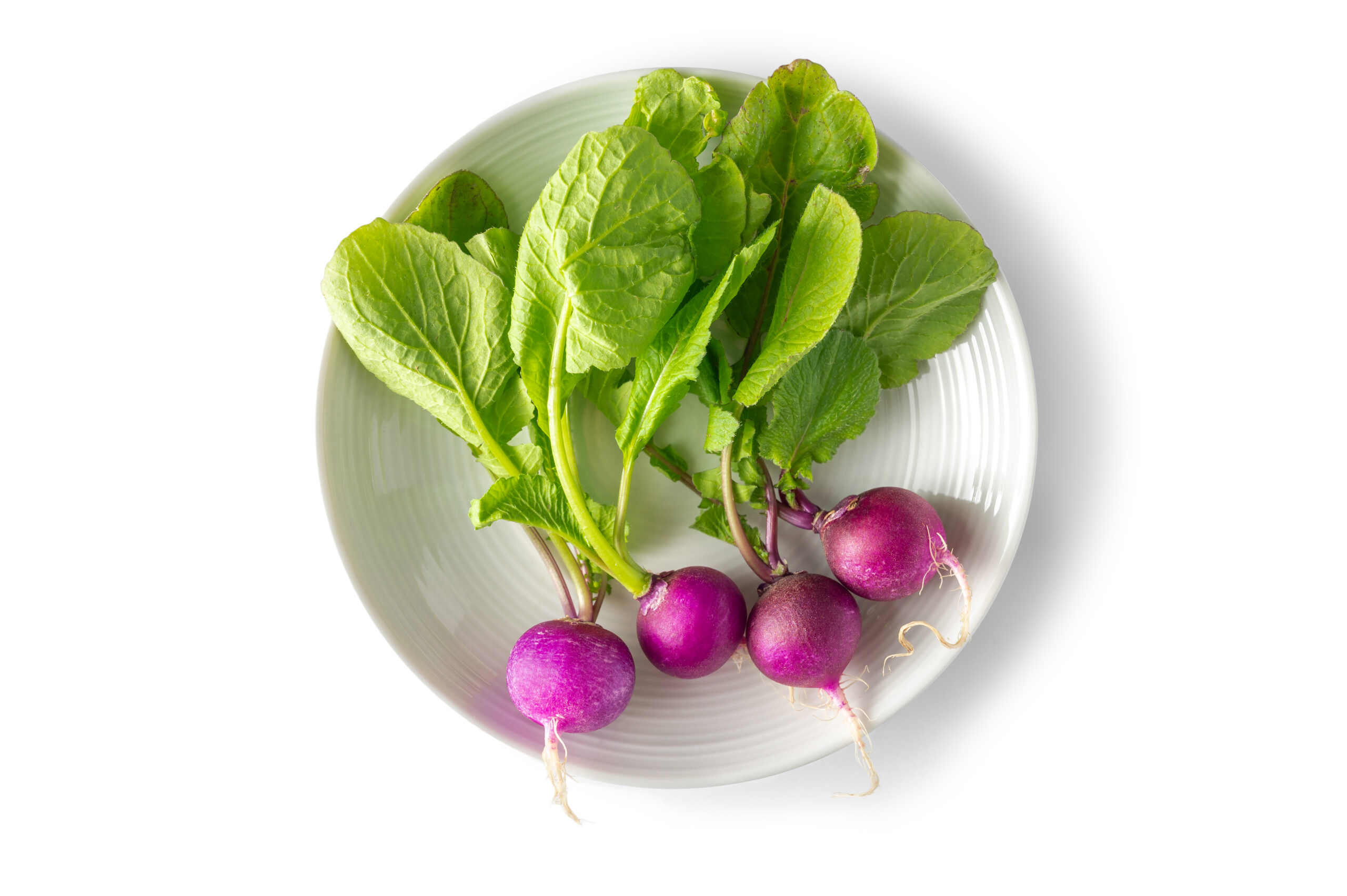 Tiny Veggies™ Radish Purple - Fresh Origins