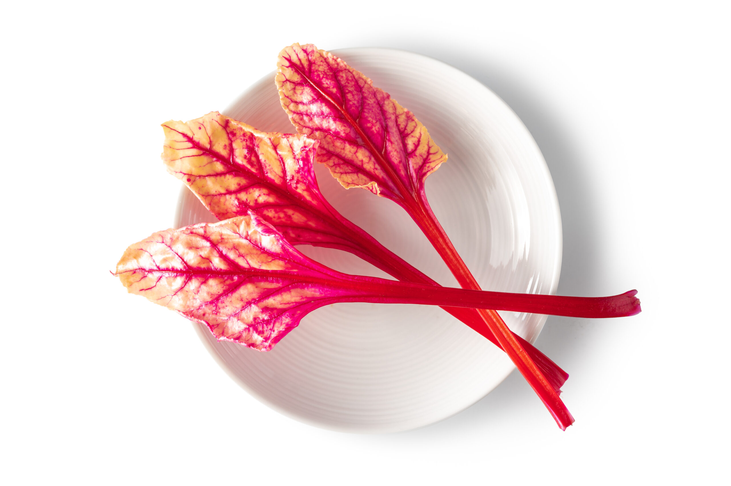 Beet Leaf Radiant™ - Fresh Origins