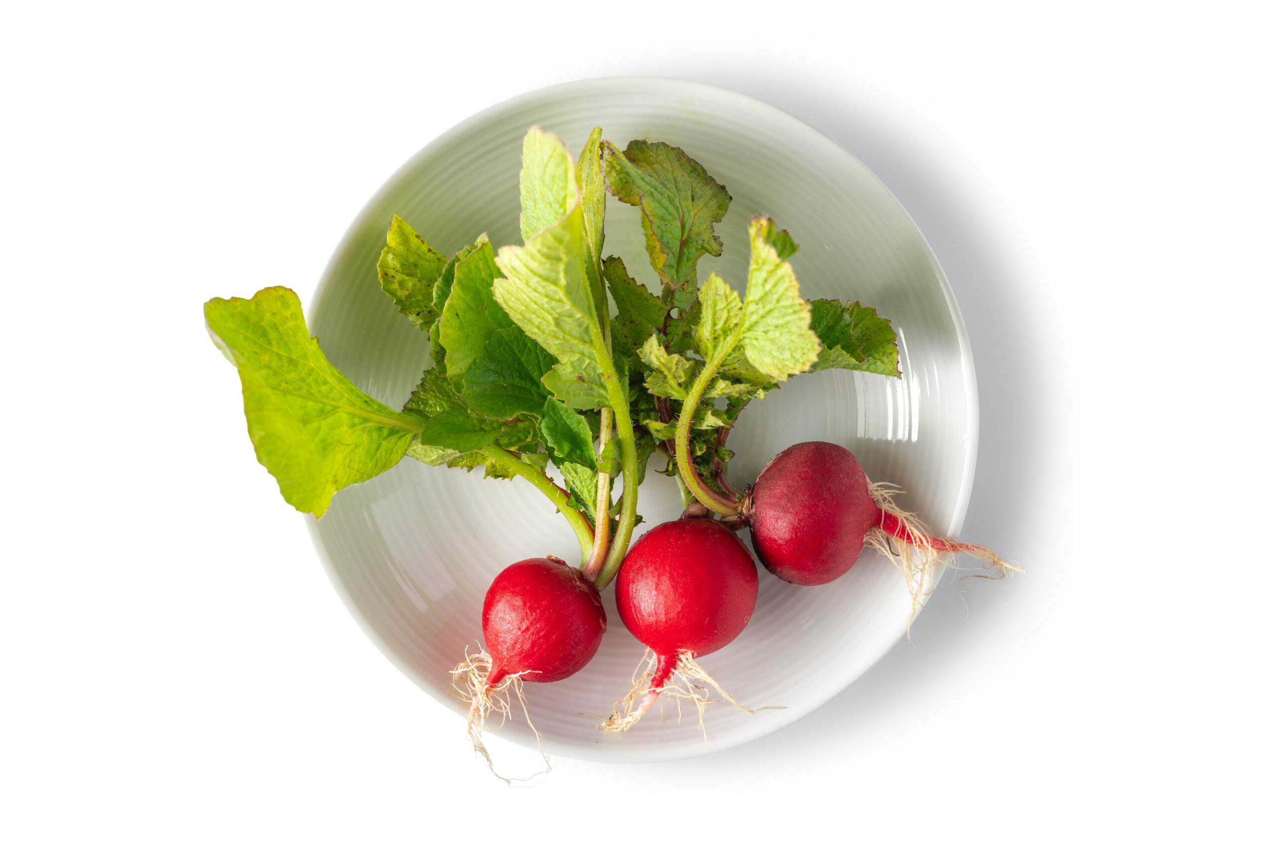Little Veggies™ Radish - Fresh Origins