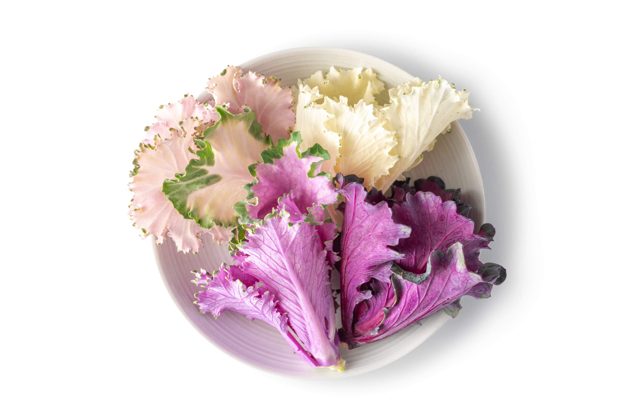 Mini Crown™ Kale Colorstar™ - Fresh Origins